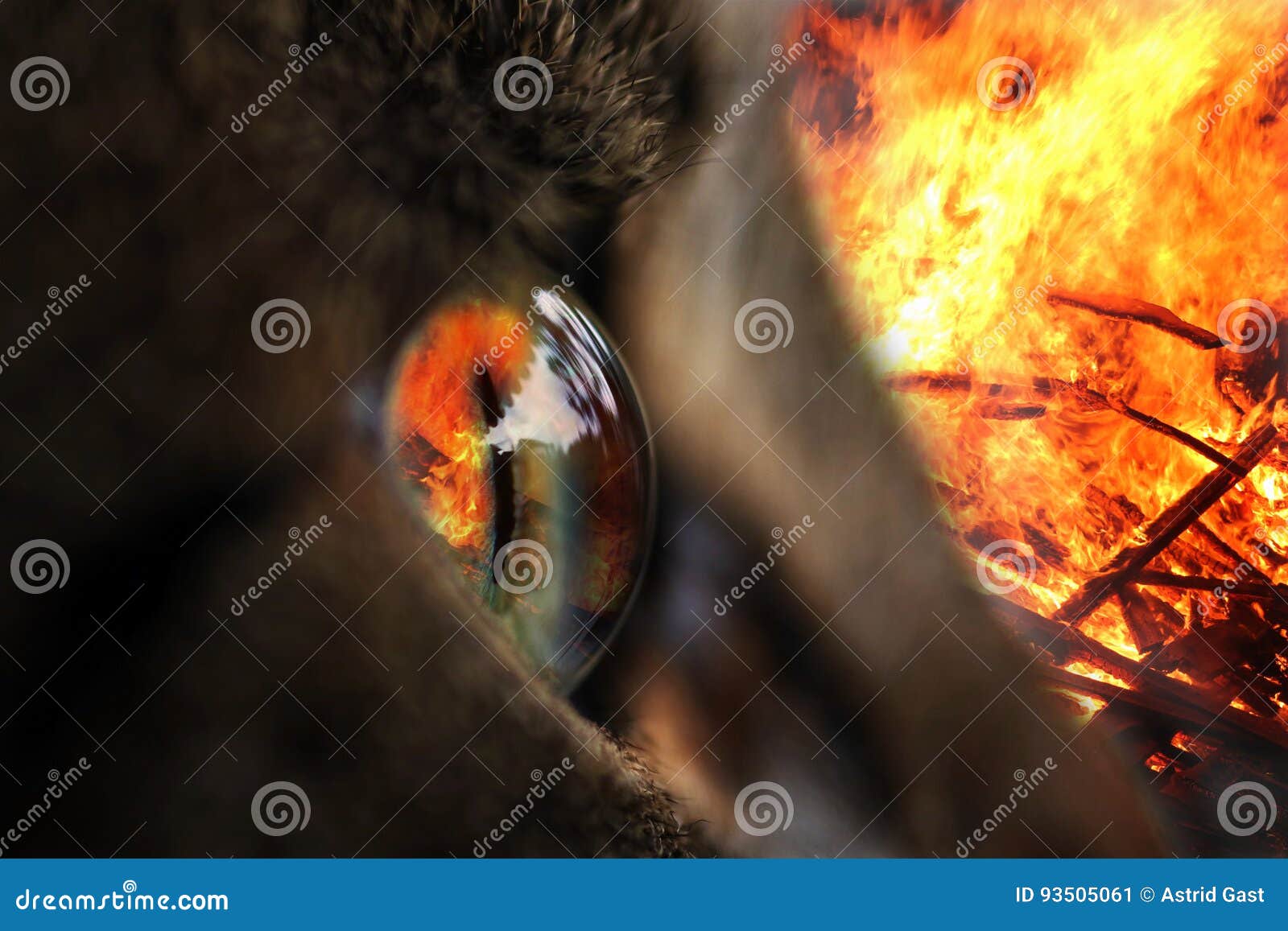 The fire in the eye stock image. Image of hotly, mind - 93505061
