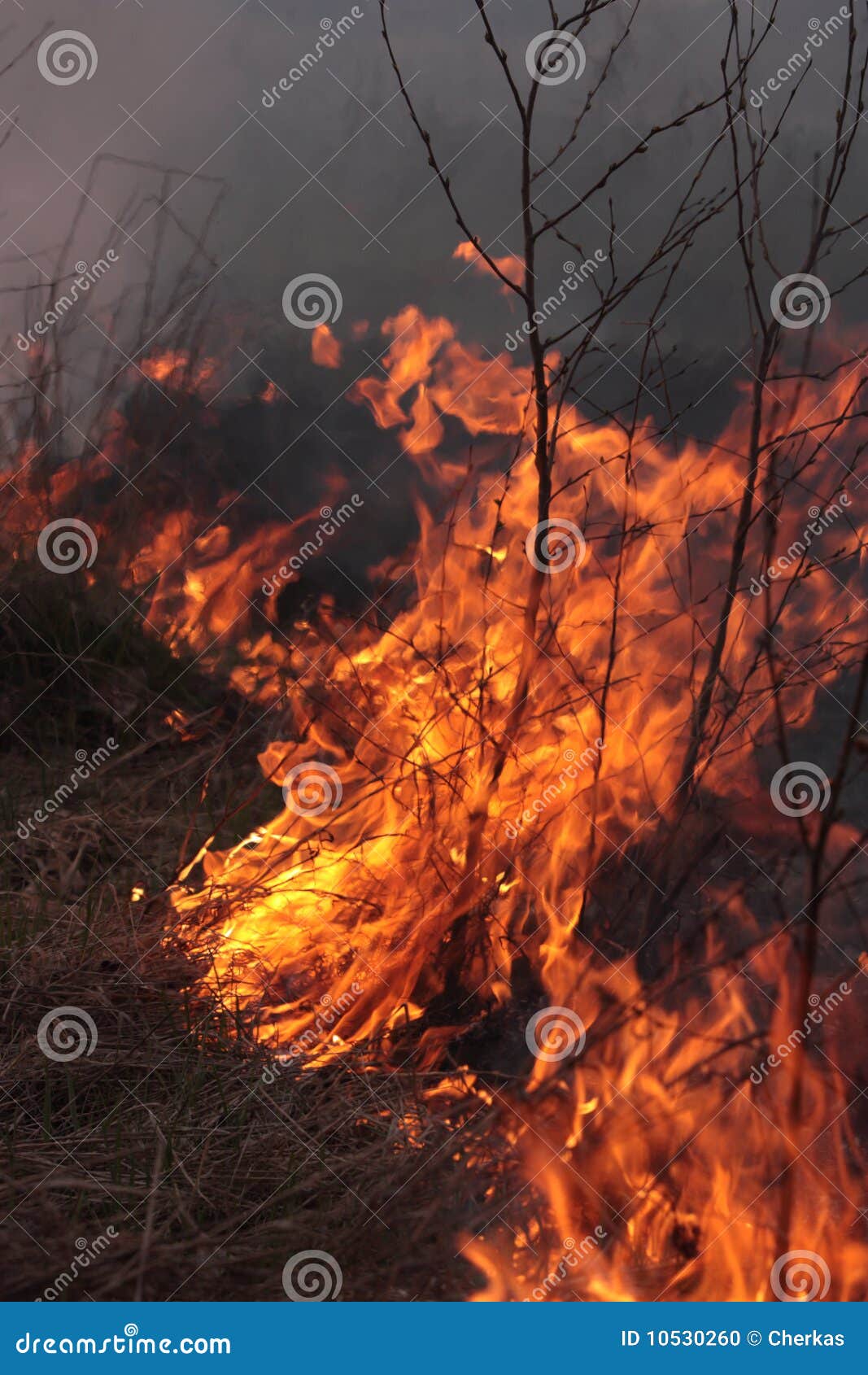Fire on the field stock photo. Image of ignite, engulfed - 10530260