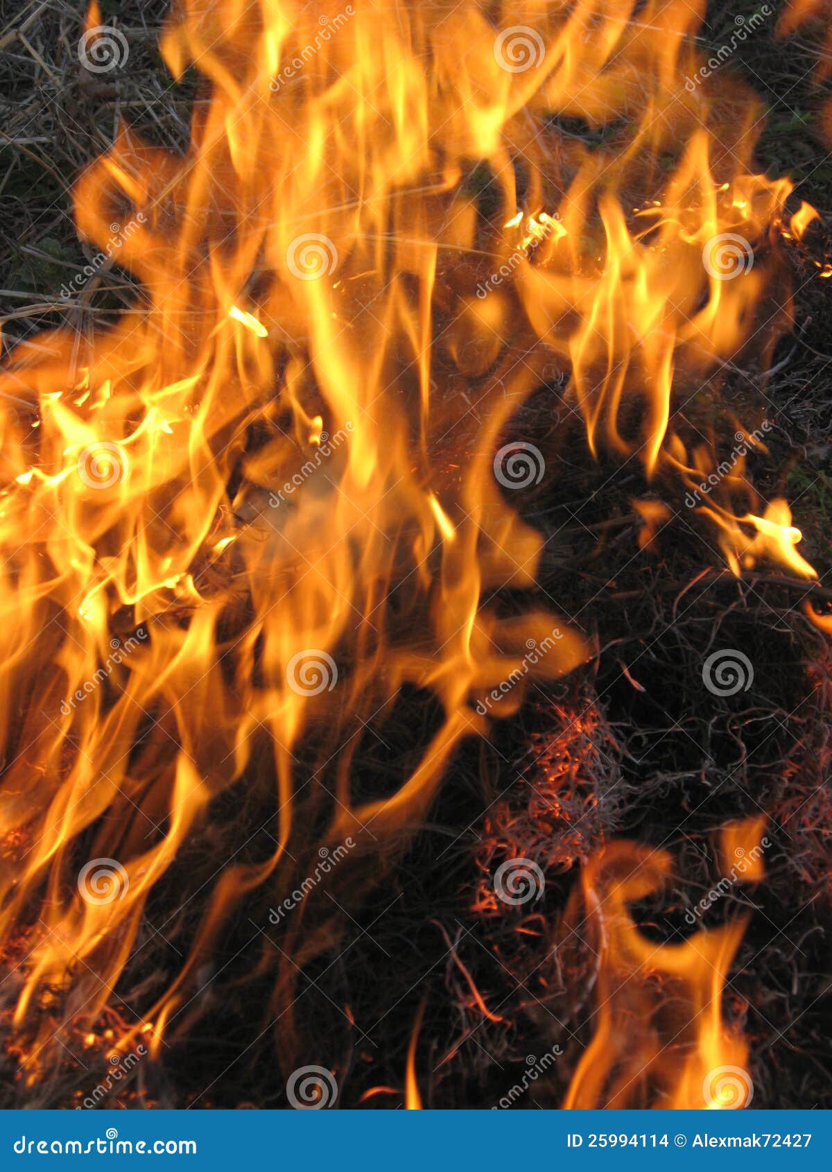 Fire in the field stock photo. Image of bright, fire - 25994114