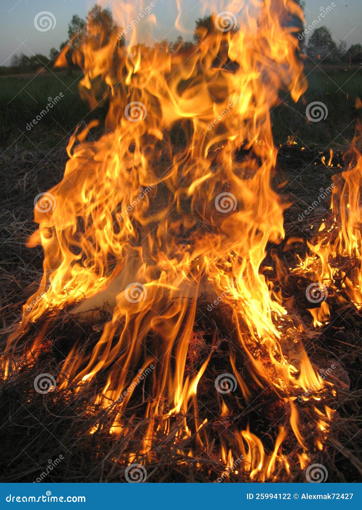 Fire in the field stock photo. Image of heat, color, imprudence - 25994122