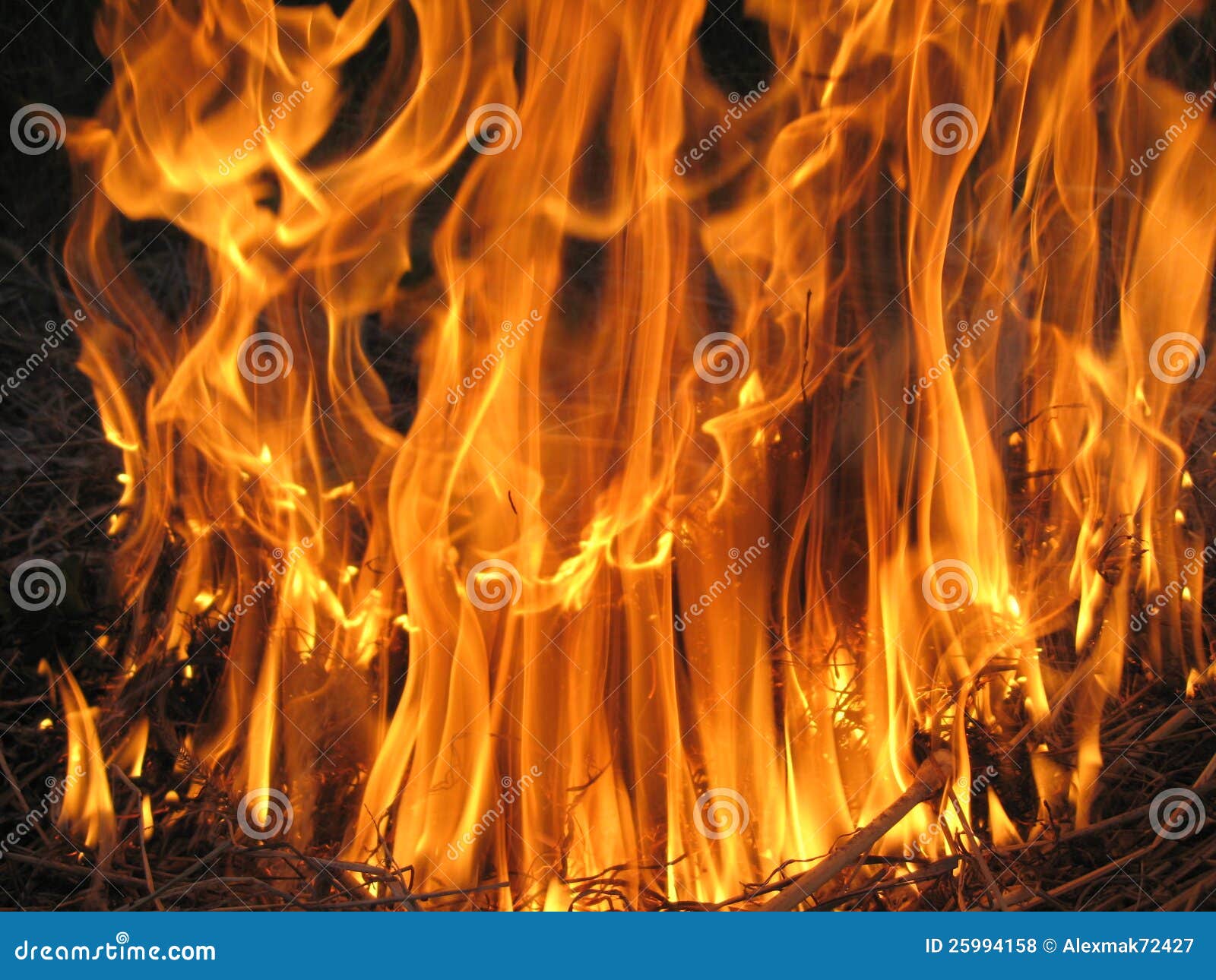 Fire in the field stock photo. Image of element, body - 25994158