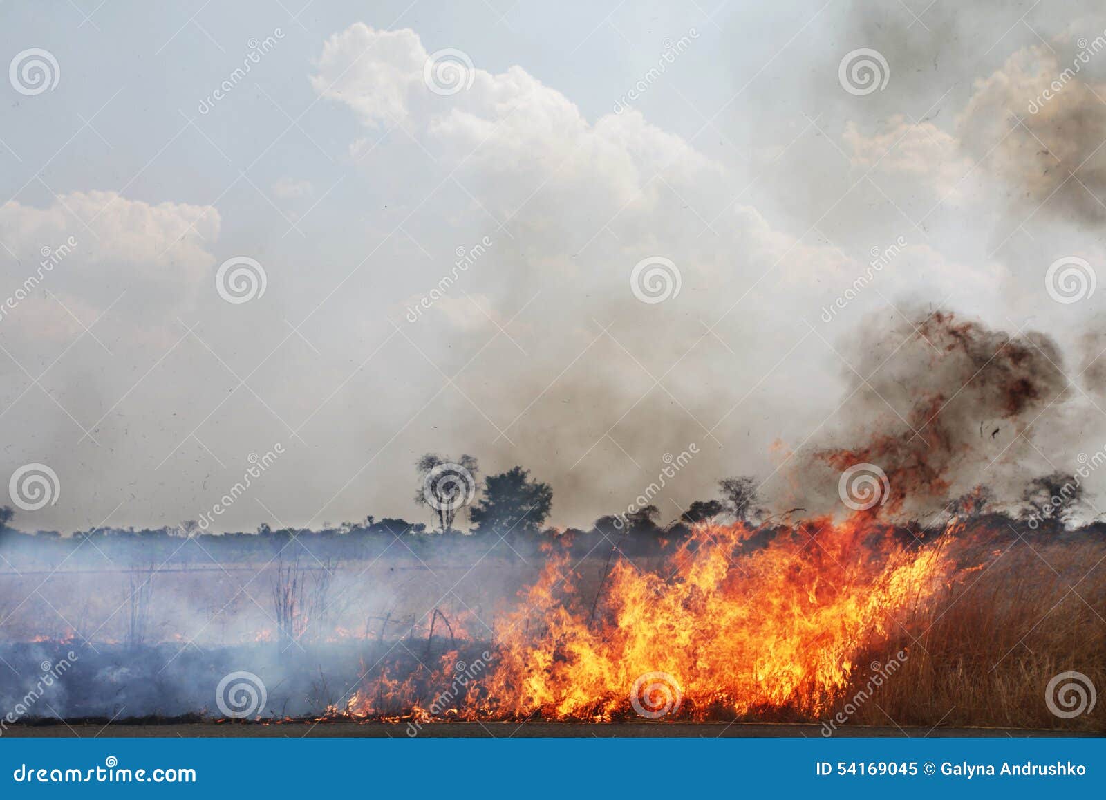 Fire in field stock image. Image of worker, help, nature - 54169045