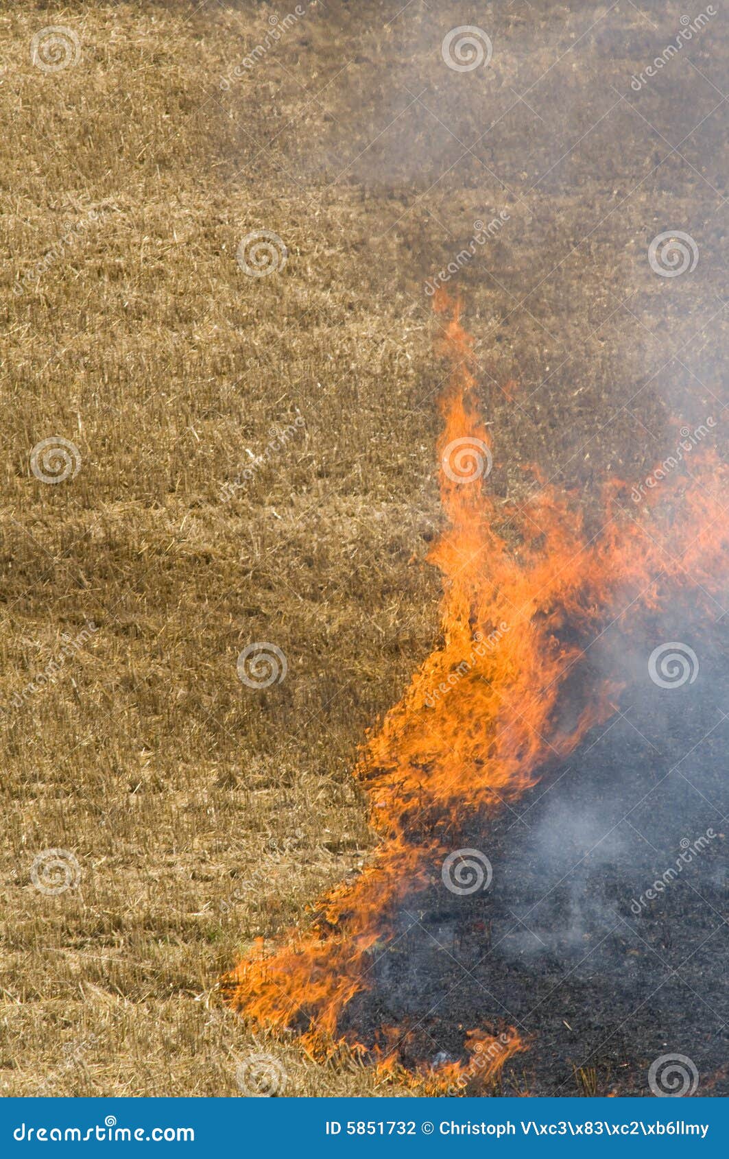 Fire on a field stock photo. Image of ground, smoke, fire - 5851732