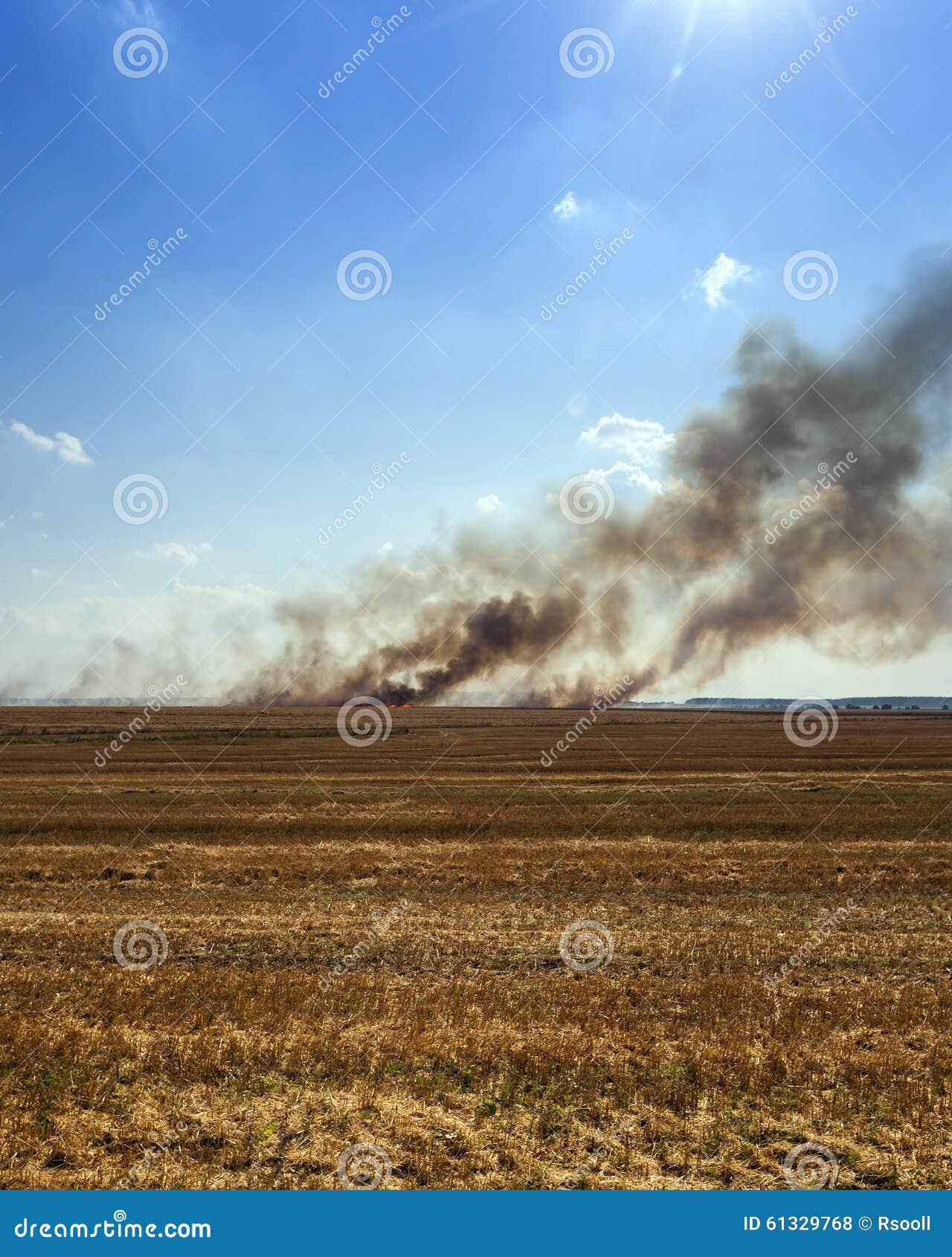Fire in the field stock photo. Image of fire, nature - 61329768