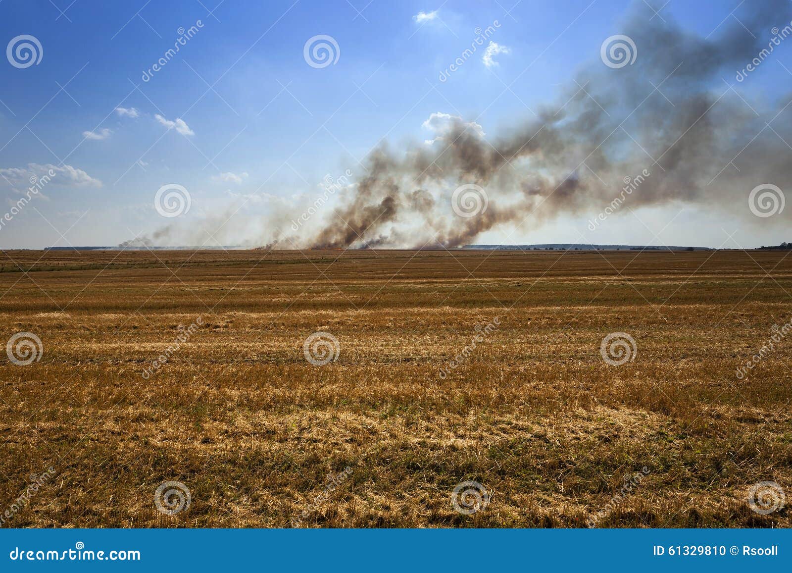 Fire in the field stock photo. Image of burnt, field - 61329810