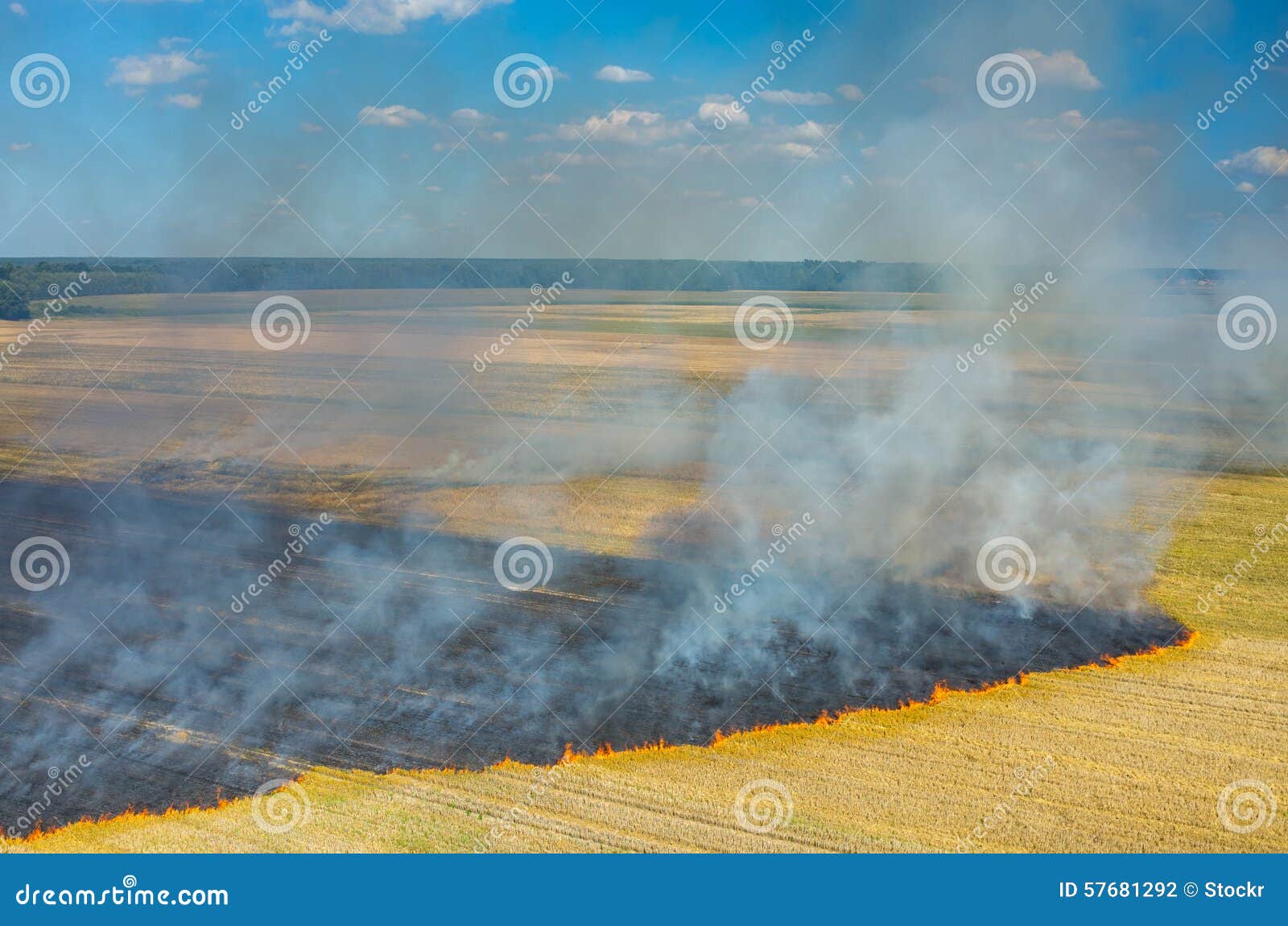 Fire on the field stock photo. Image of burn, plant, damage - 57681292