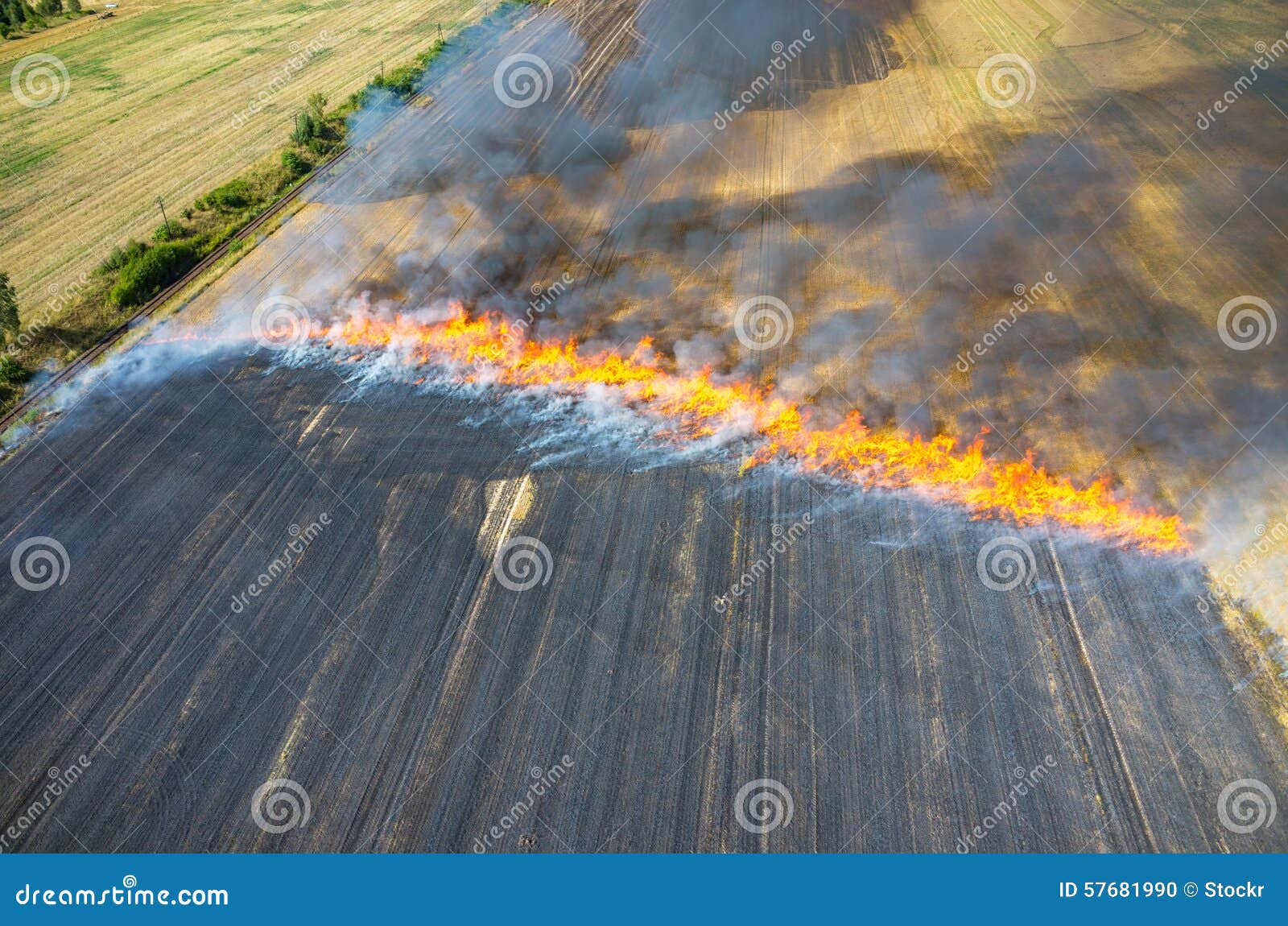 Fire on the field stock photo. Image of season, orange - 57681990