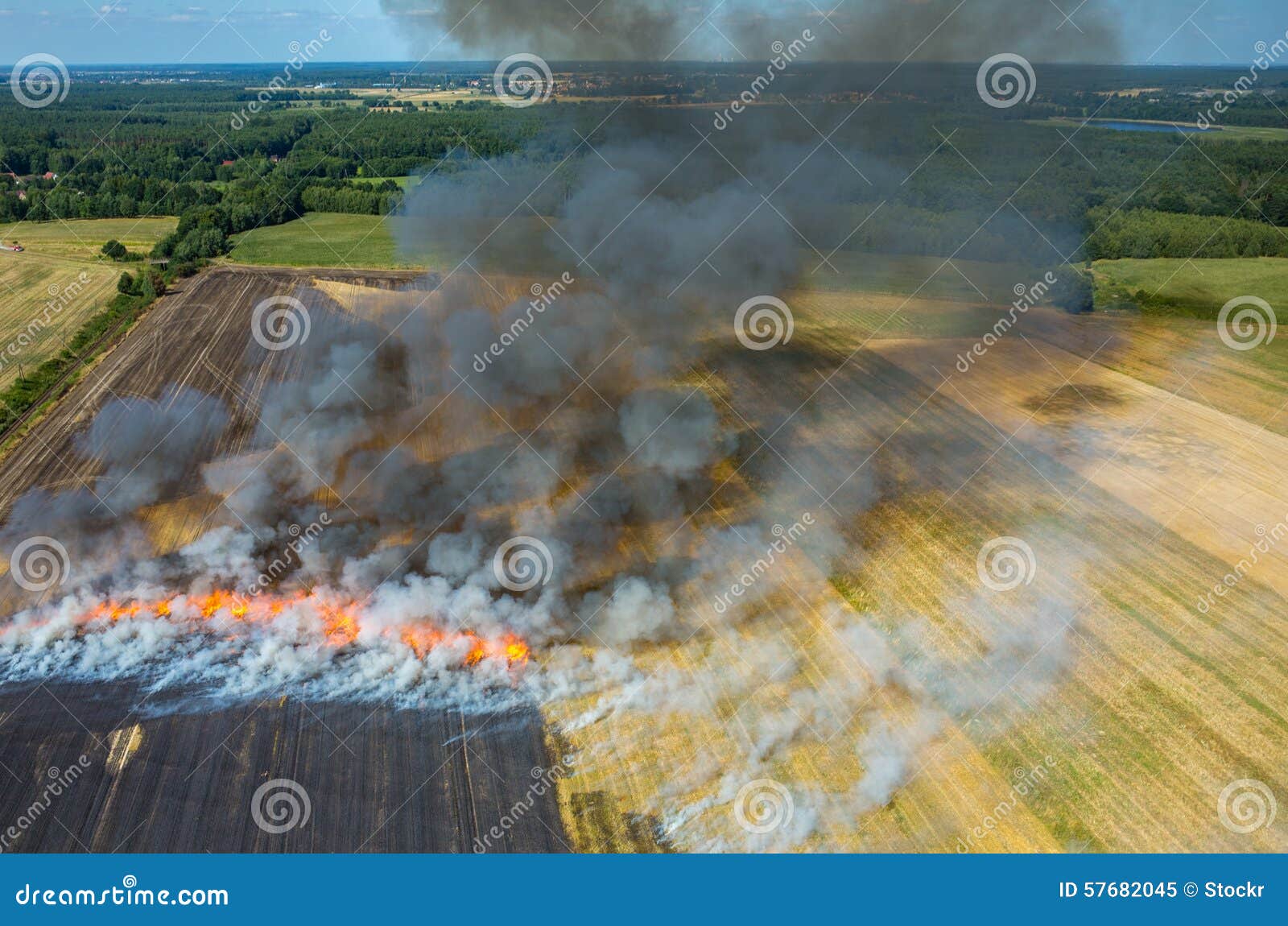 Fire on the field stock image. Image of plant, burn, burning - 57682045