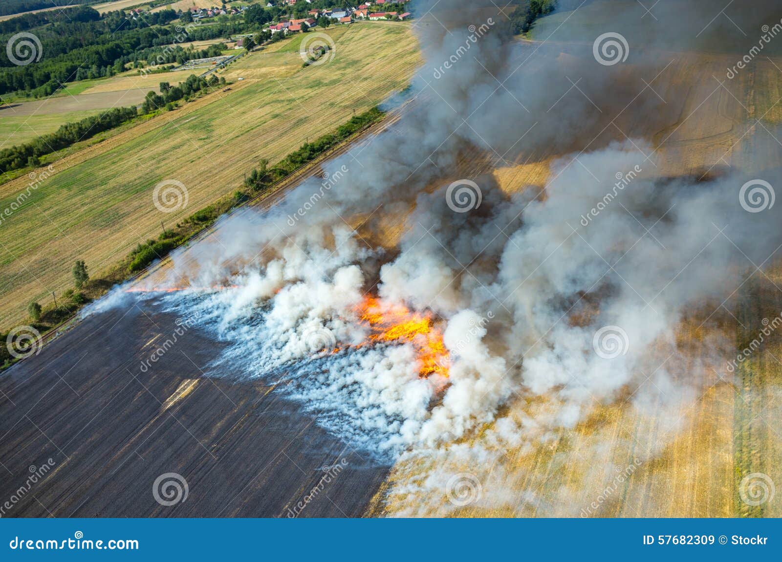 Fire on the field stock image. Image of burn, danger - 57682309