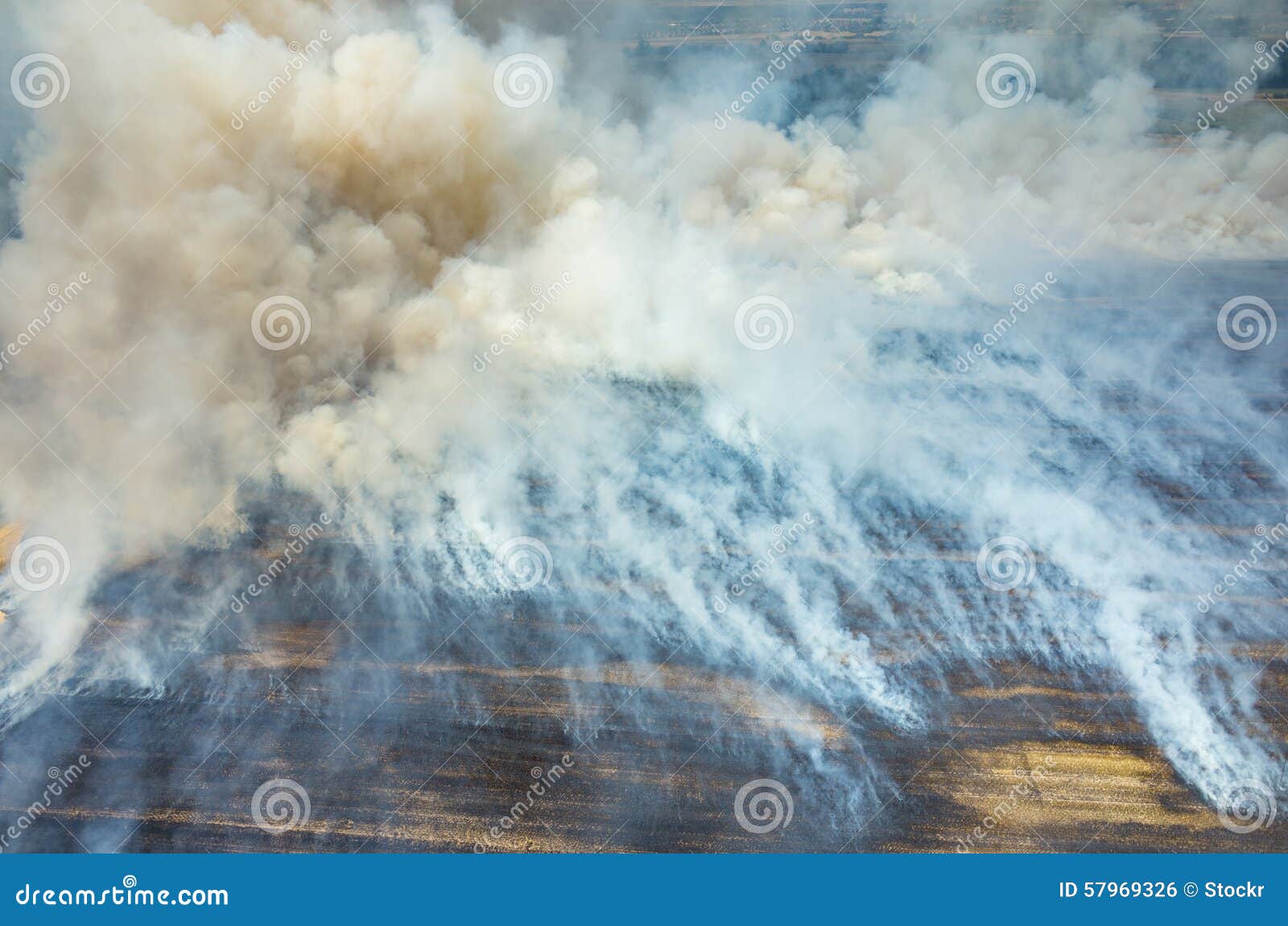 Fire on the field stock photo. Image of agricultural - 57969326