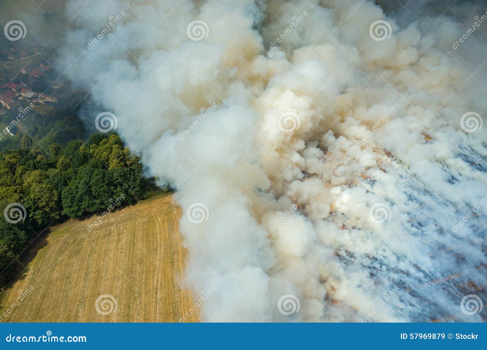 Fire on the field stock image. Image of grass, bright - 57969879