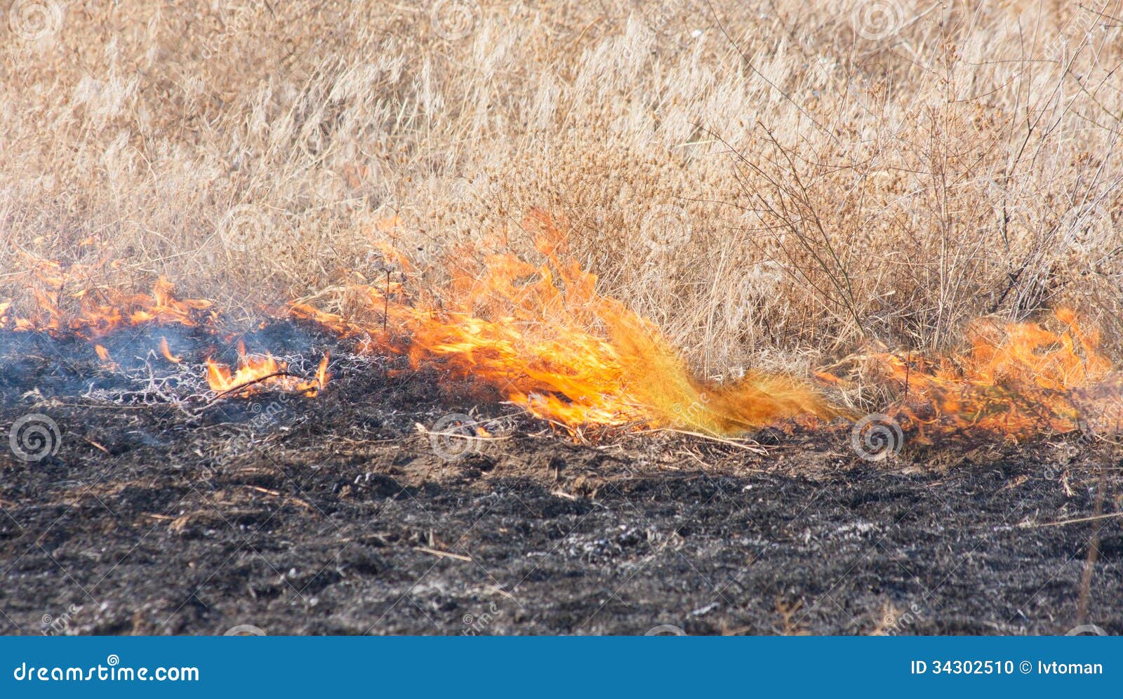 Fire in a field stock photo. Image of arid, destruction - 34302510