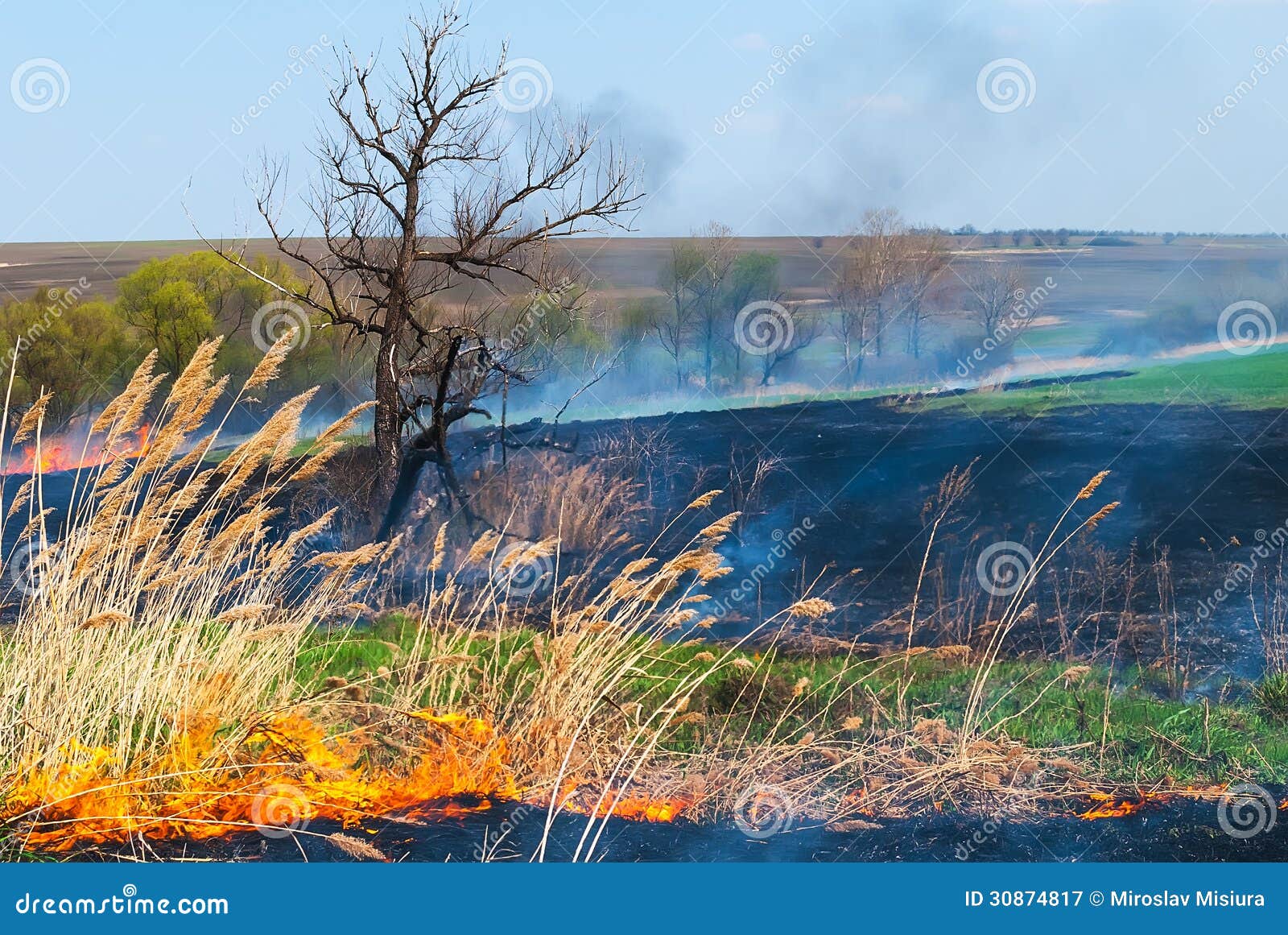 Fire on the field stock image. Image of flame, landscapes - 30874817