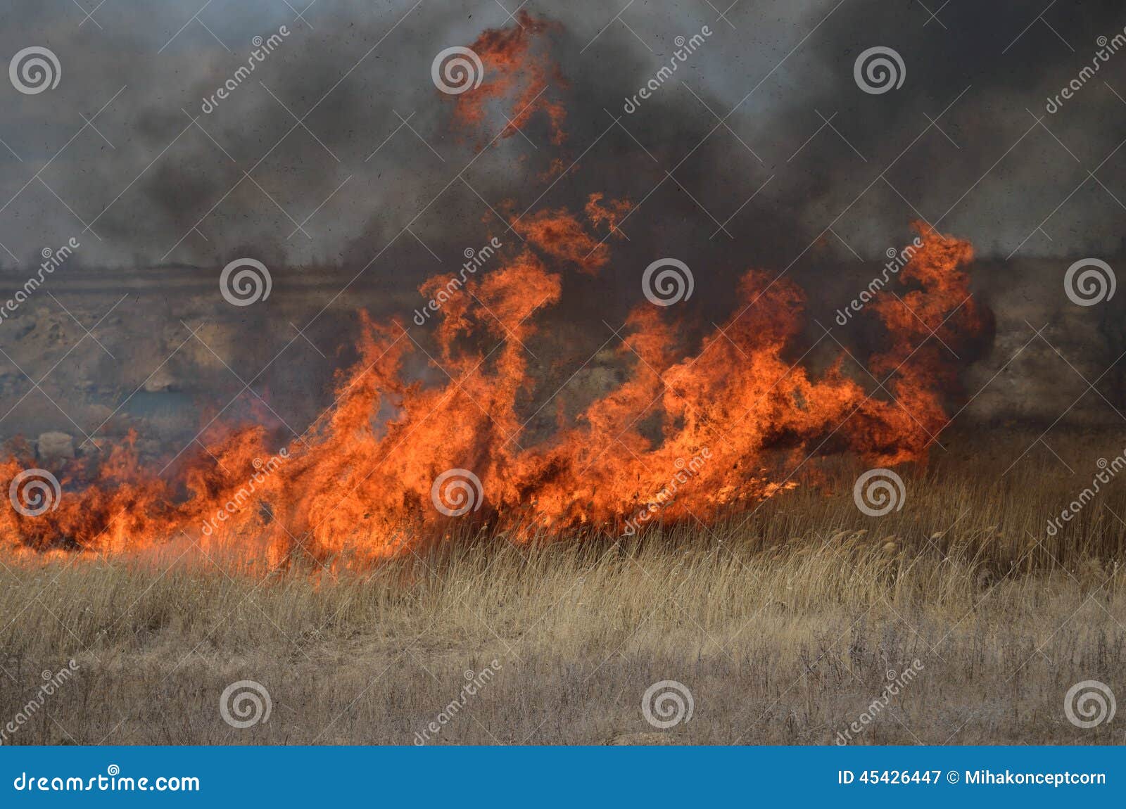 Fire in the field stock image. Image of wheat, year, element - 45426447