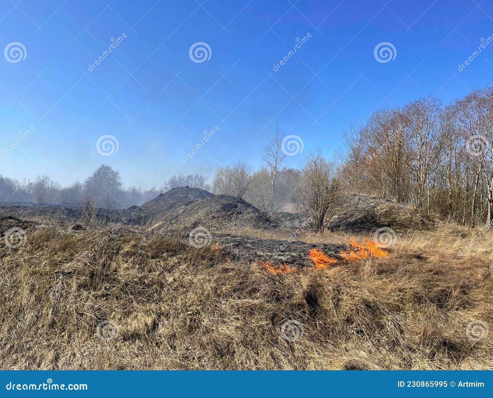 Fire in the Field in Farmland Stock Image - Image of carbon, danger ...