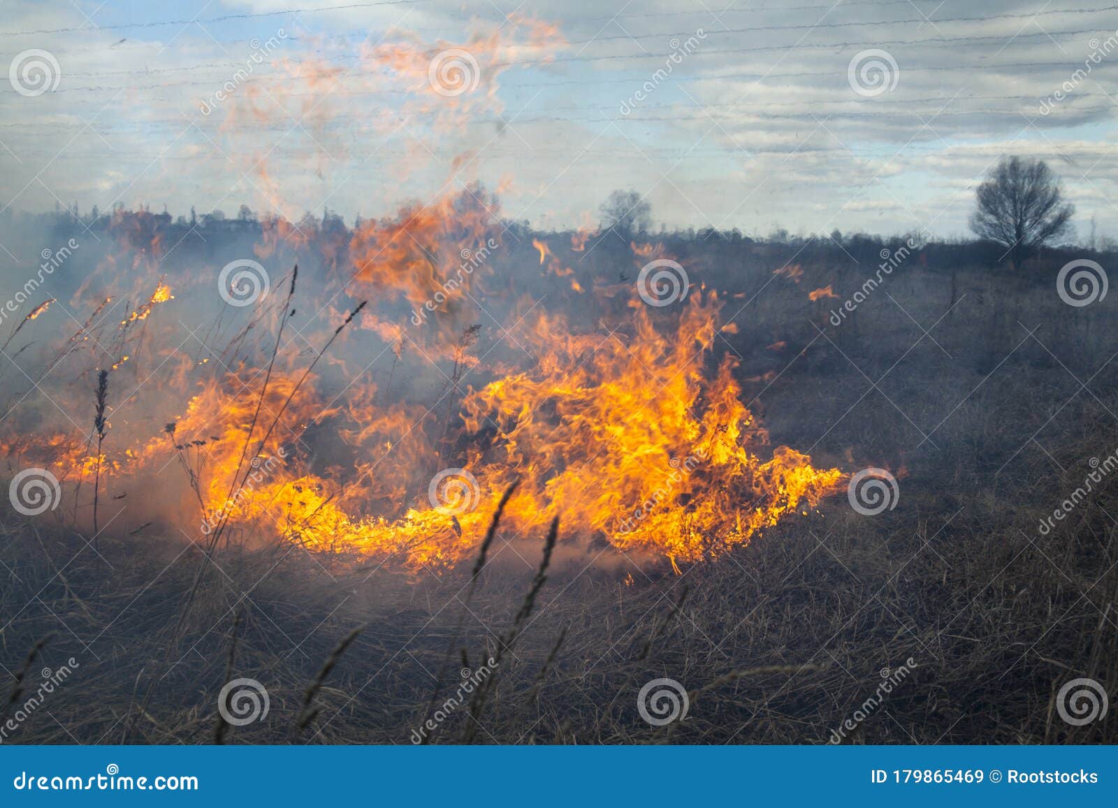 Fire in the field stock image. Image of environmental - 179865469