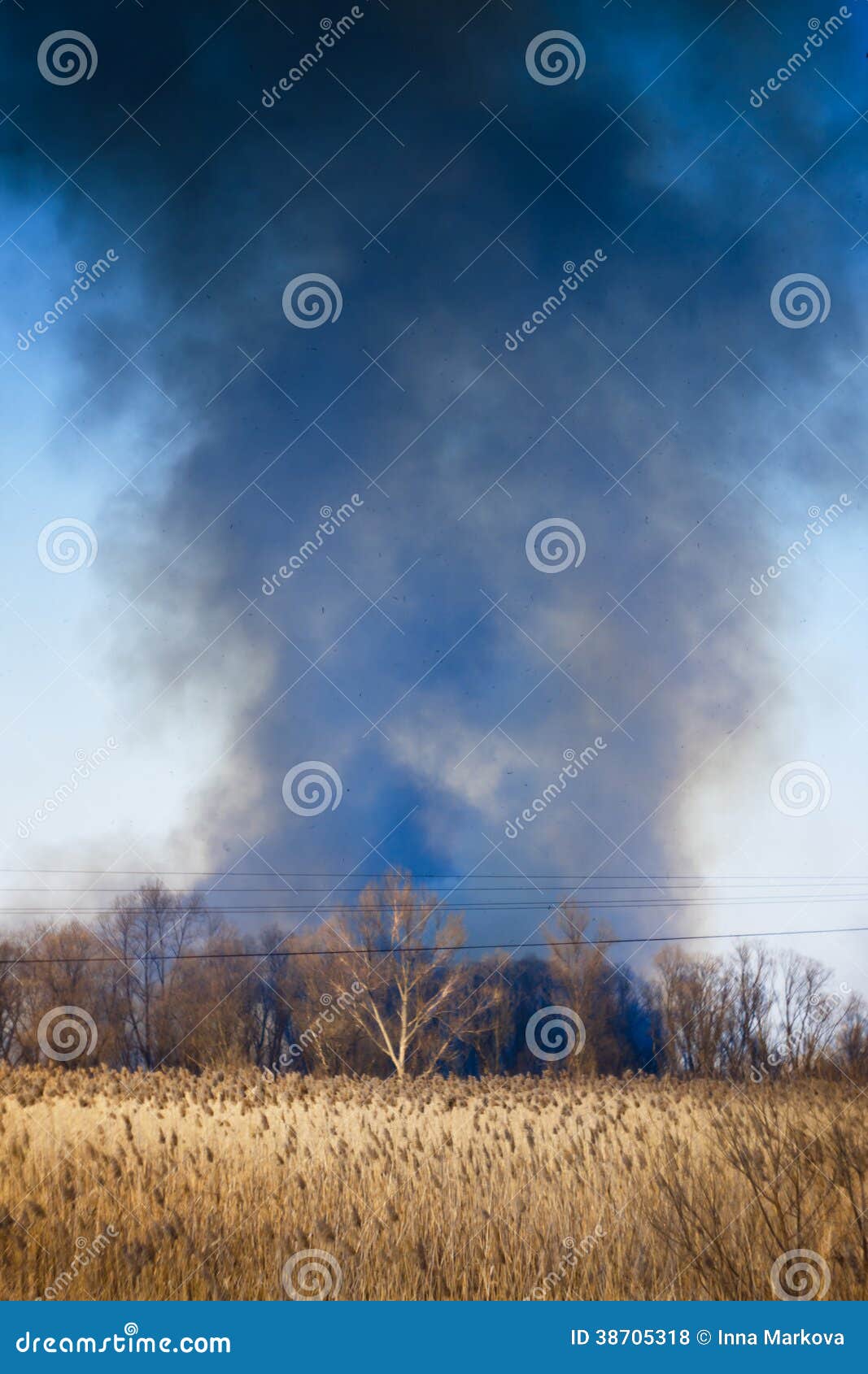 Fire on the Field, Landscape Stock Photo - Image of field, concept ...