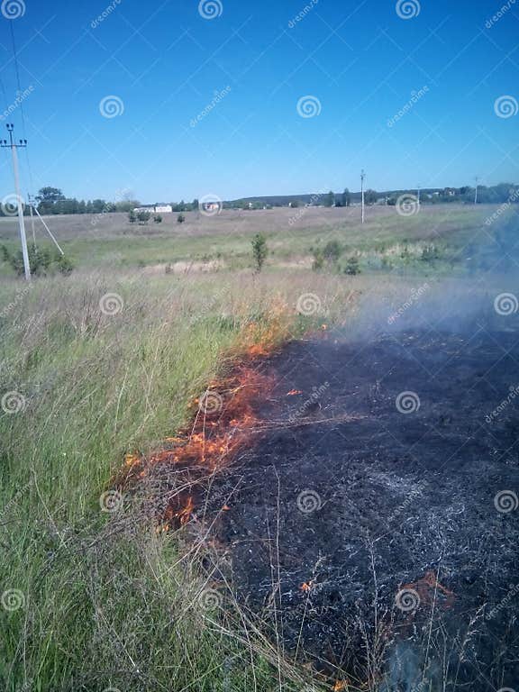 Fire at Field stock photo. Image of grassland, soil, shrubland - 94217418