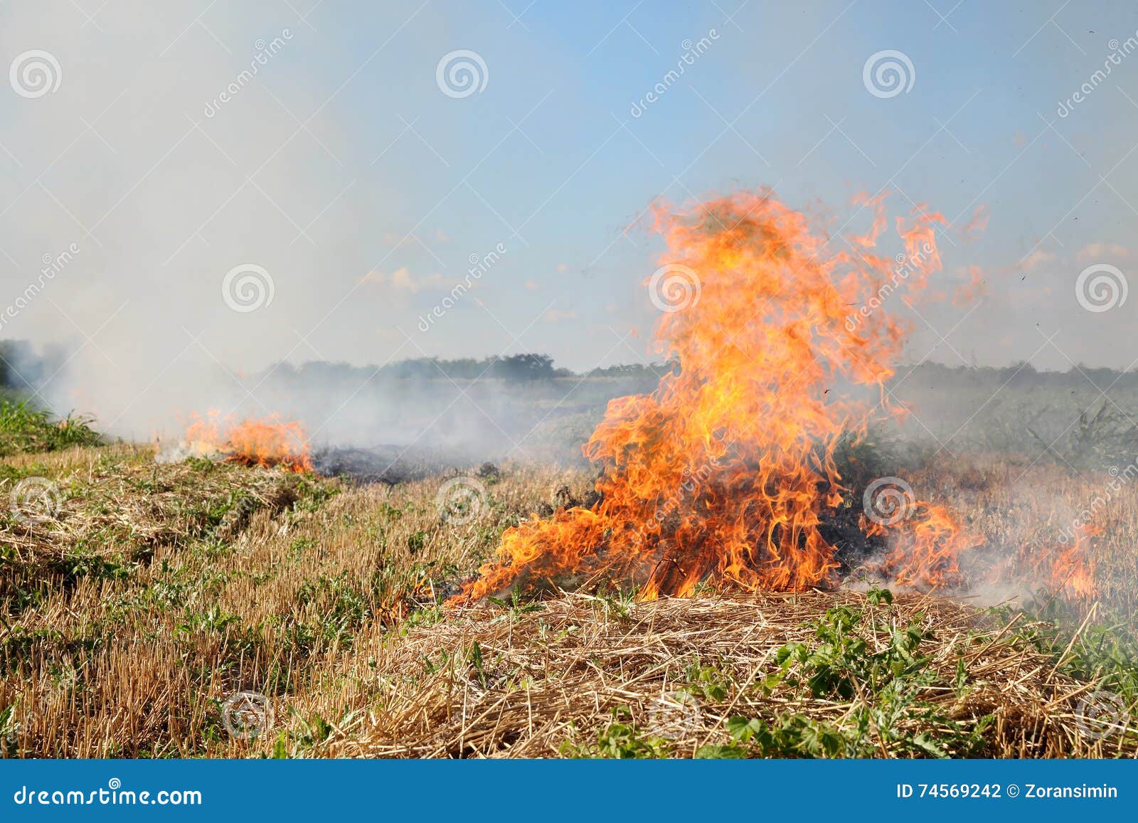 Fire in field stock photo. Image of inferno, damage, land - 74569242