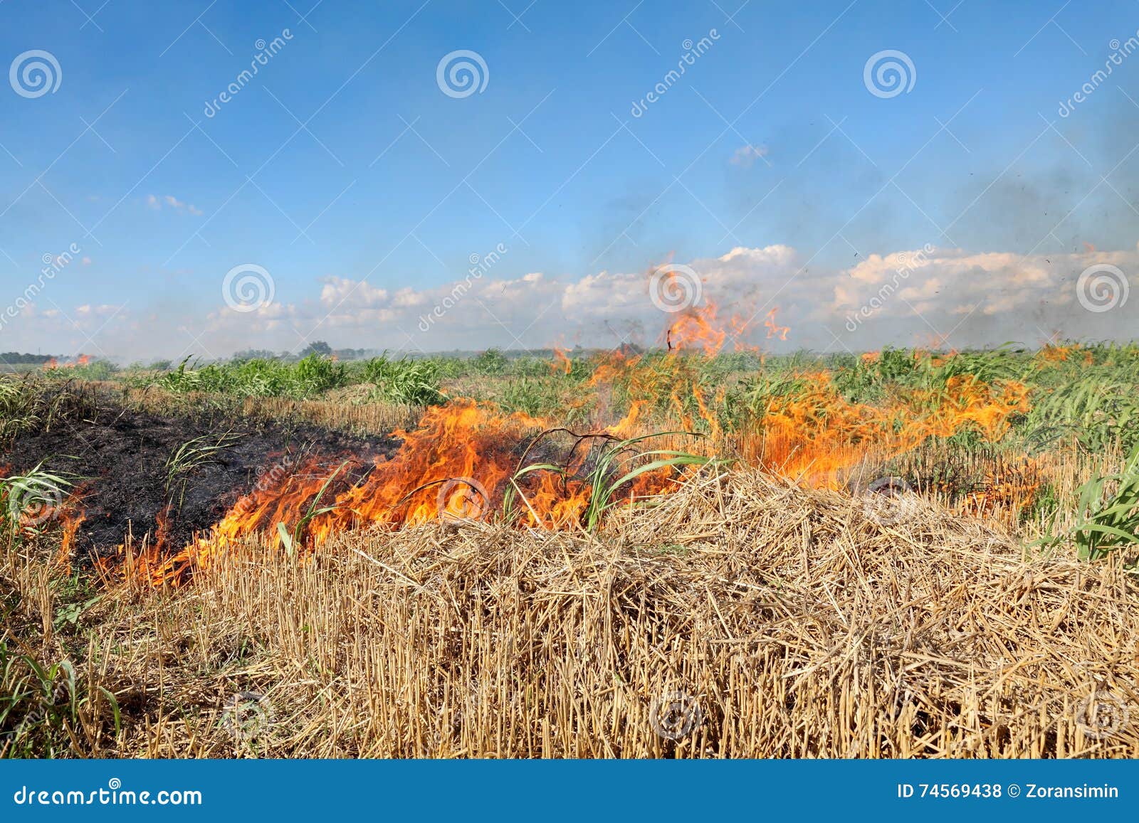 Fire in field stock photo. Image of landscape, flame - 74569438