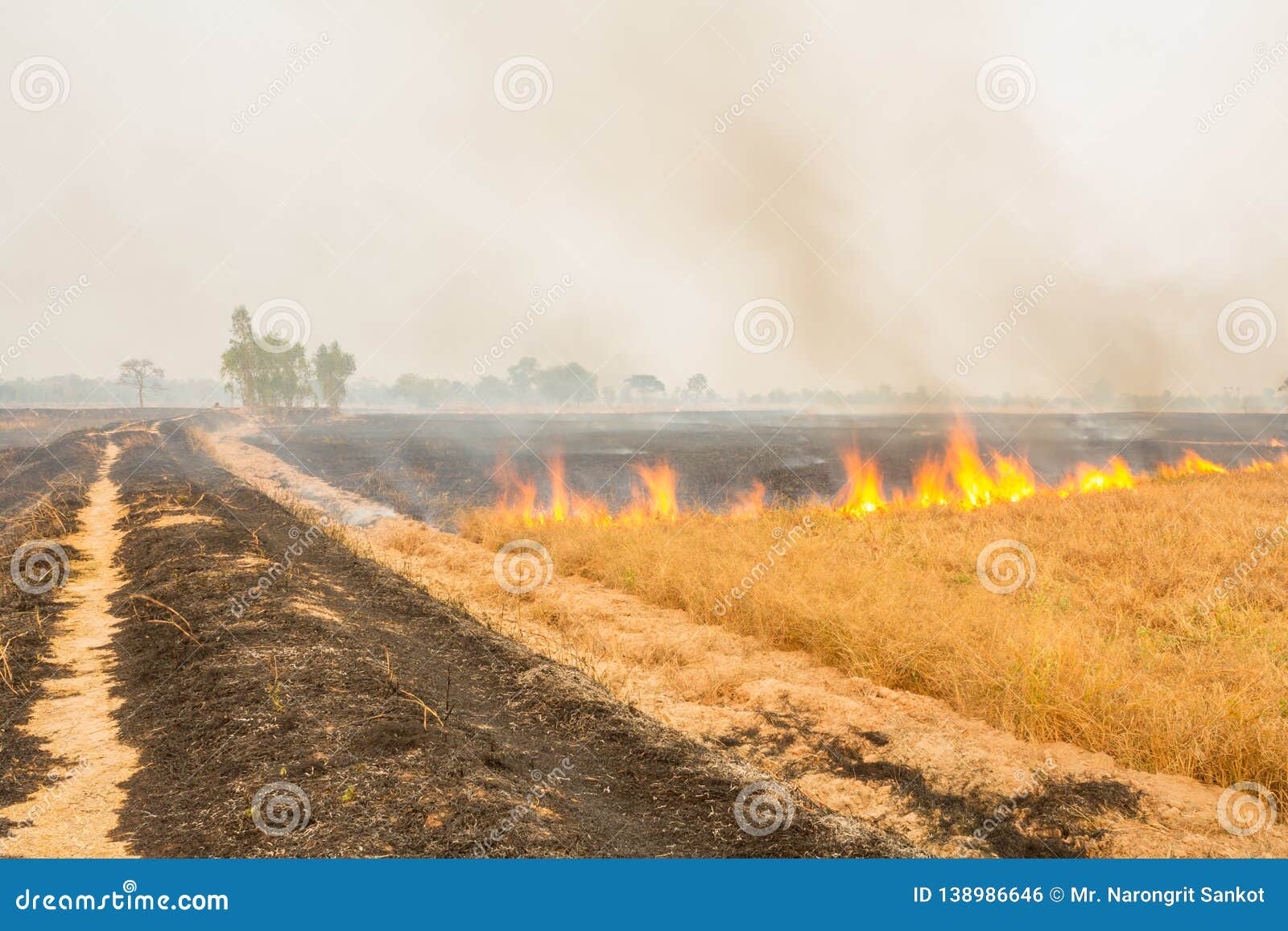 Fire fields stock photo. Image of flame, dried, burning - 138986646