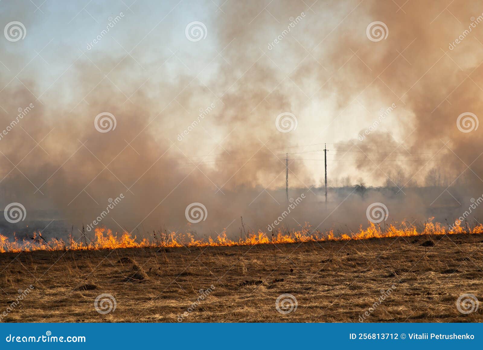 Fire in Fields and Swamps Burning Everything on Its Way Stock Photo ...