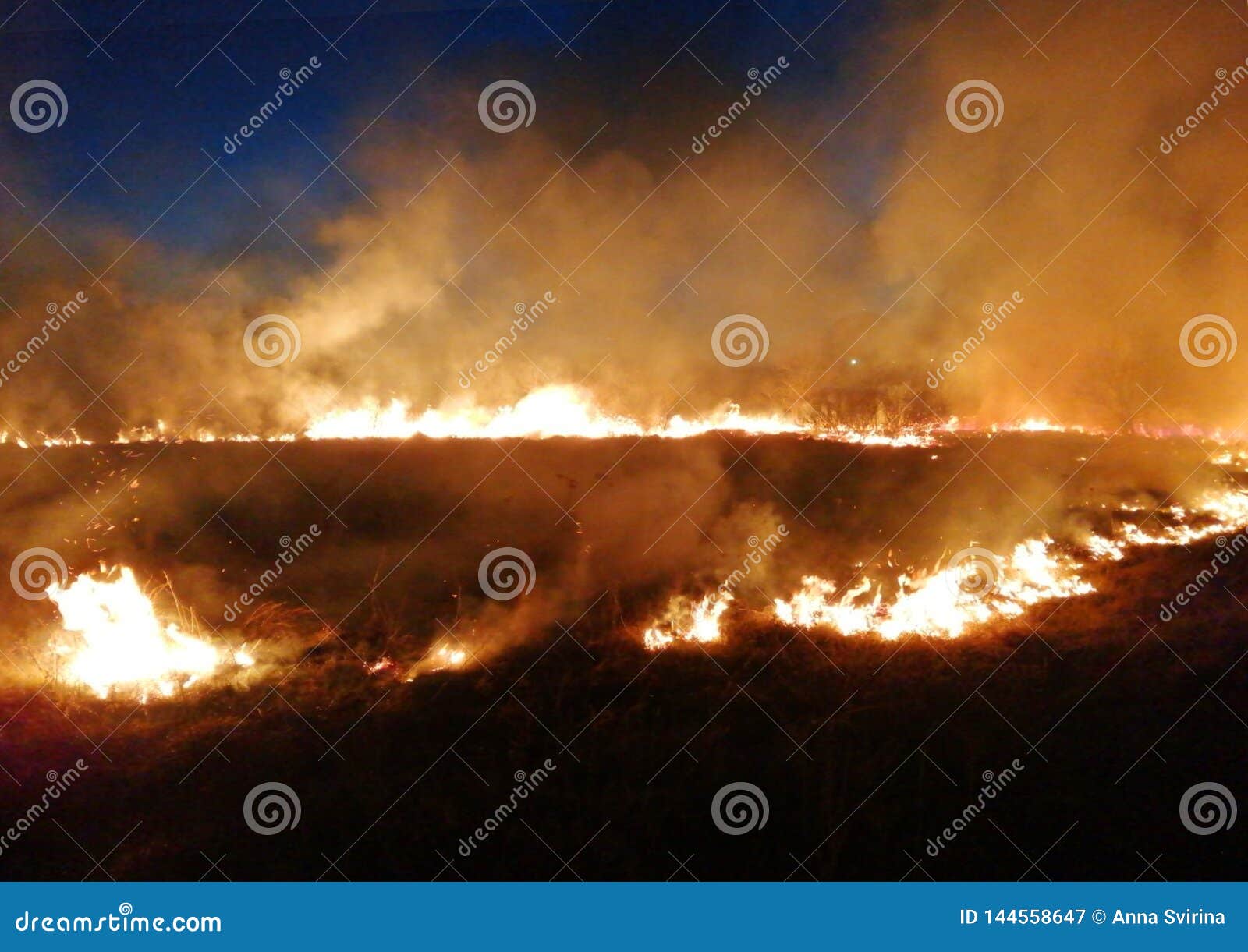 Fire in the fields stock image. Image of flame, environment - 144558647