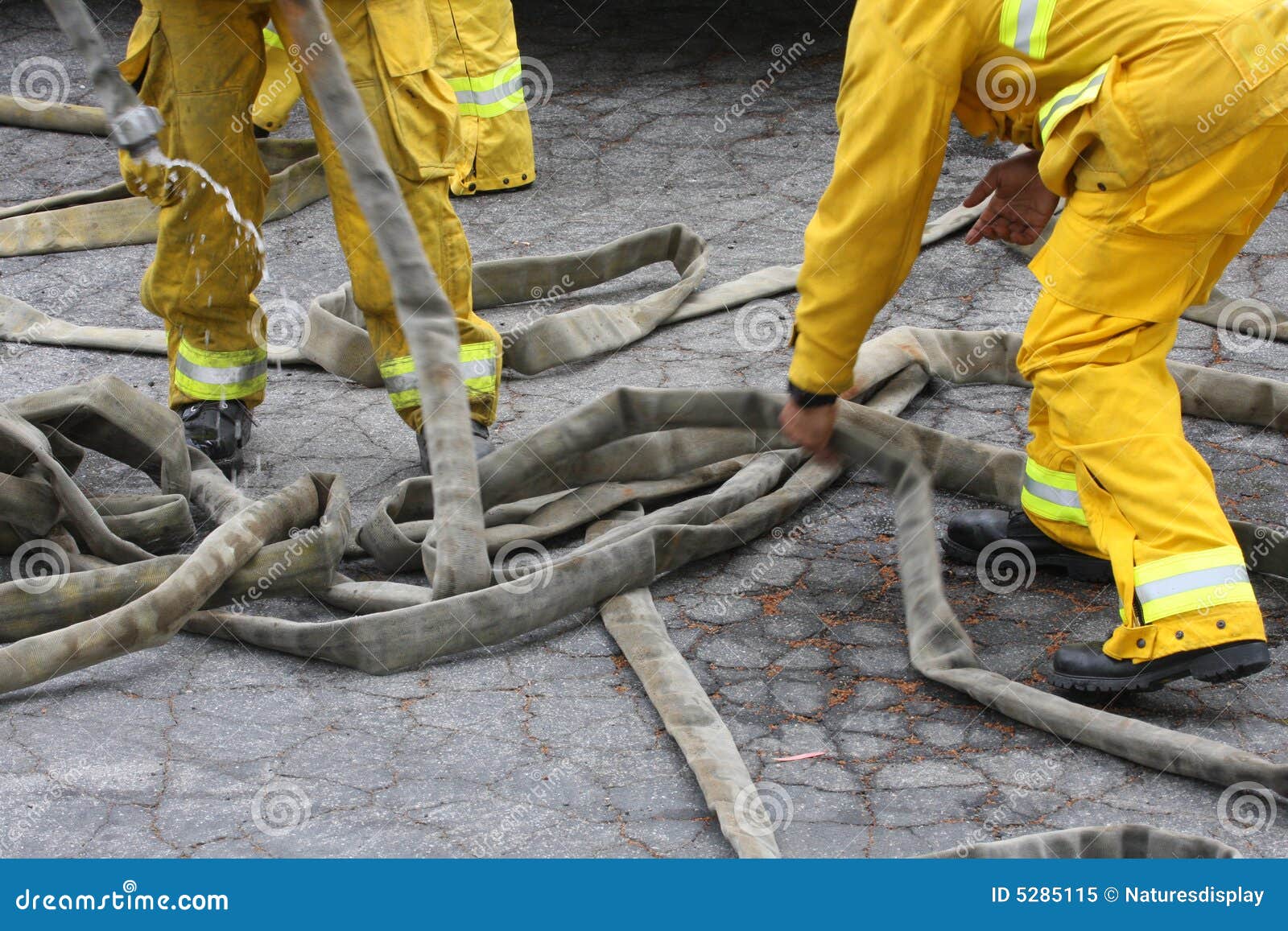 Fire Fighters And Hoses Picture. Image: 5285115