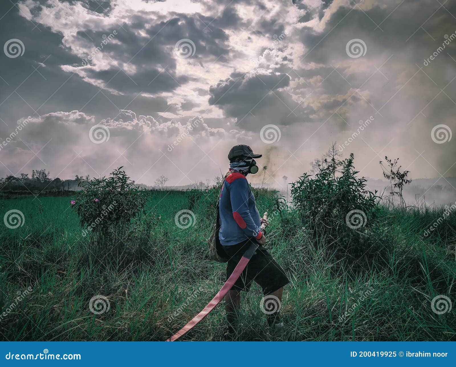 Fire Fighting in Borneo Peat Forest Stock Image - Image of peat, forest ...