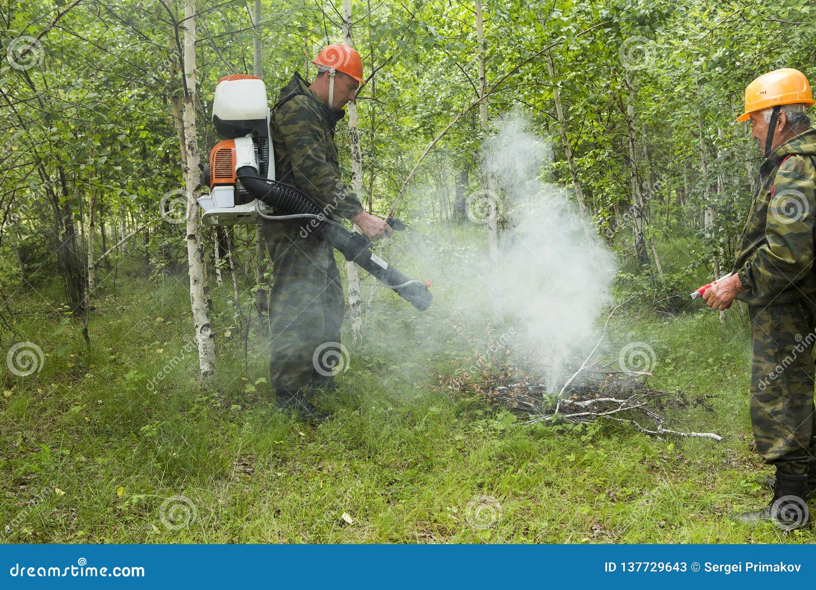 Fire Fighting in the Forest Stock Image - Image of burned, bushes ...