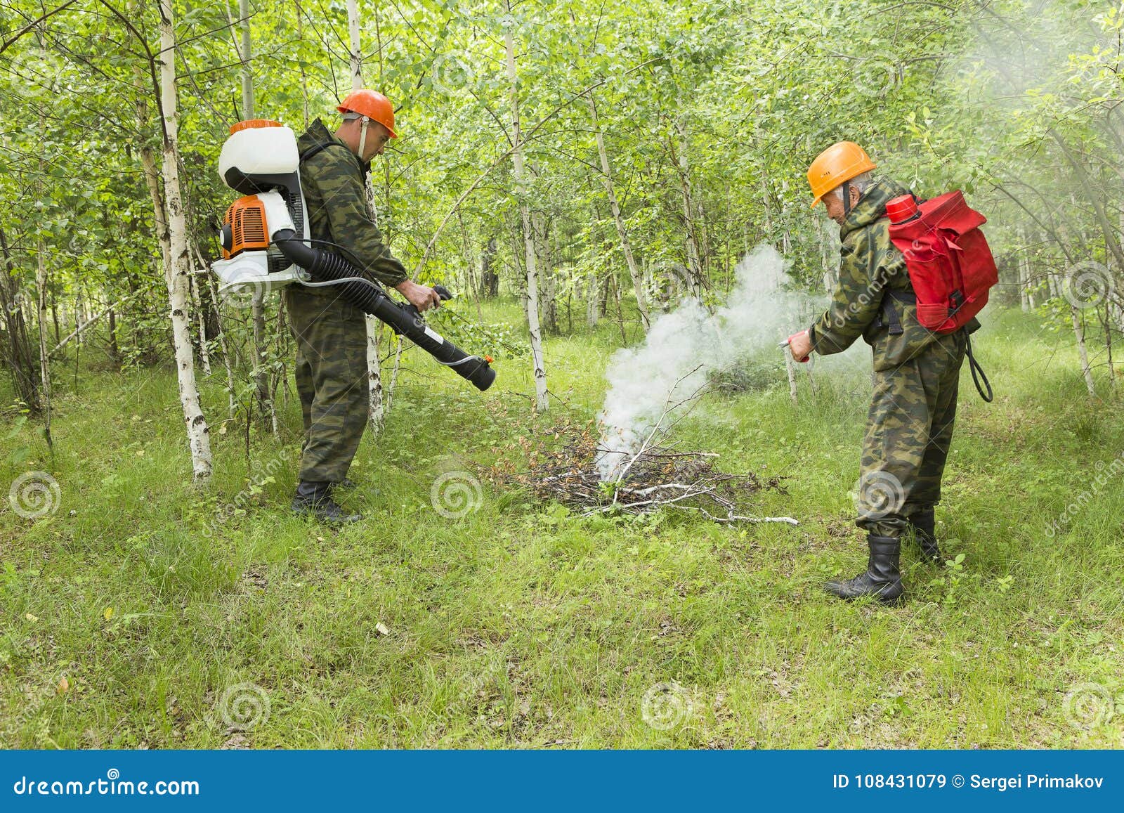 Fire Fighting in the Forest Stock Image - Image of defense, fighting ...