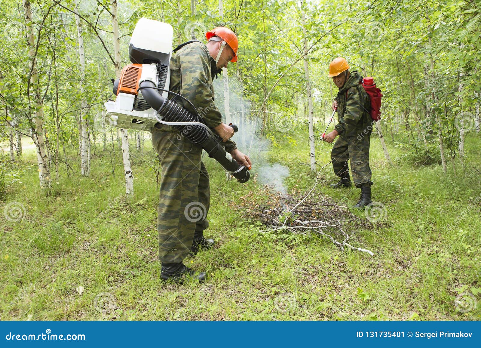 Fire Fighting in the Forest Stock Image - Image of exercises, forest ...