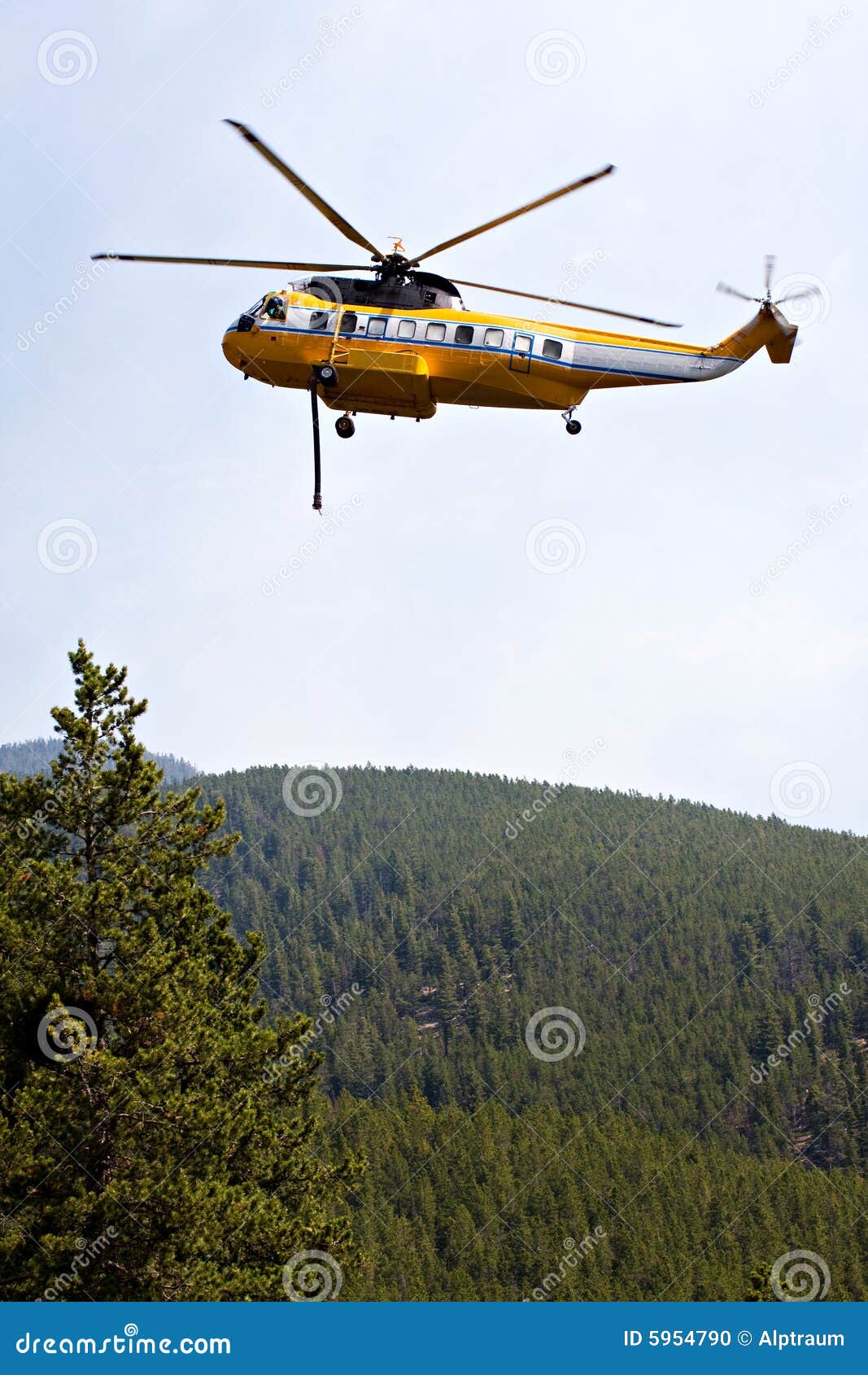 Fire fighting helicopter stock photo. Image of firefighting - 5954790
