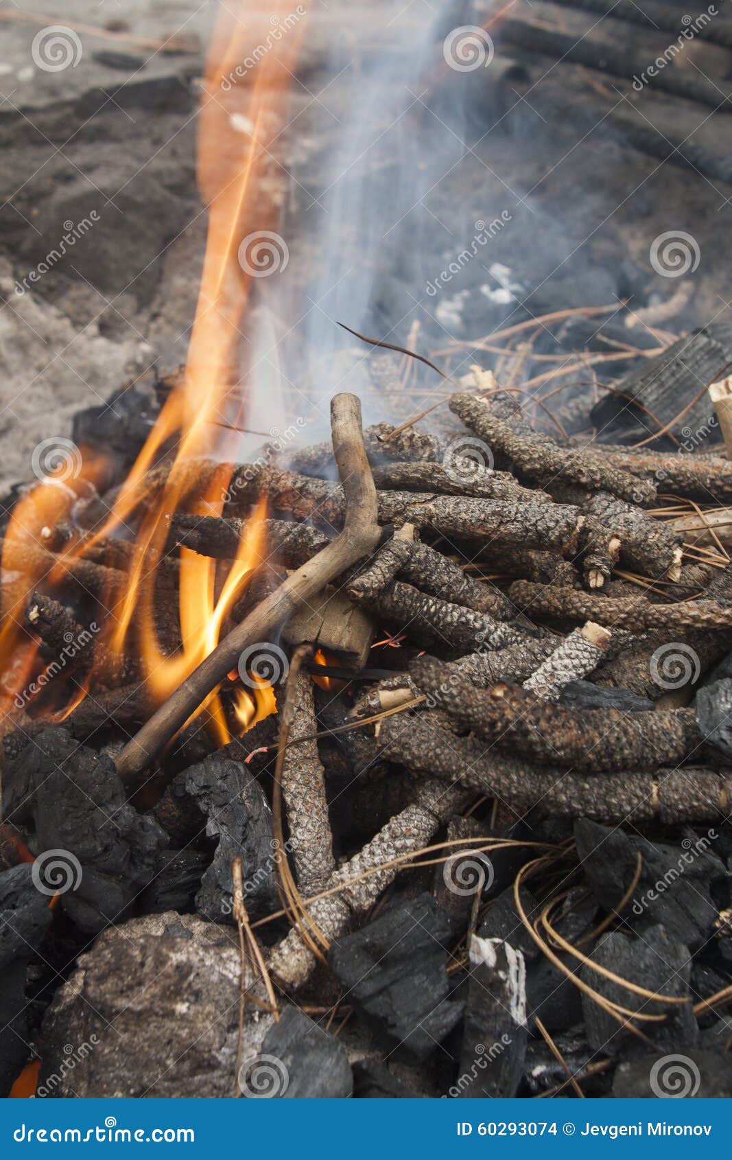 Fire of Fir Branches on the Grill Stock Photo - Image of burning ...