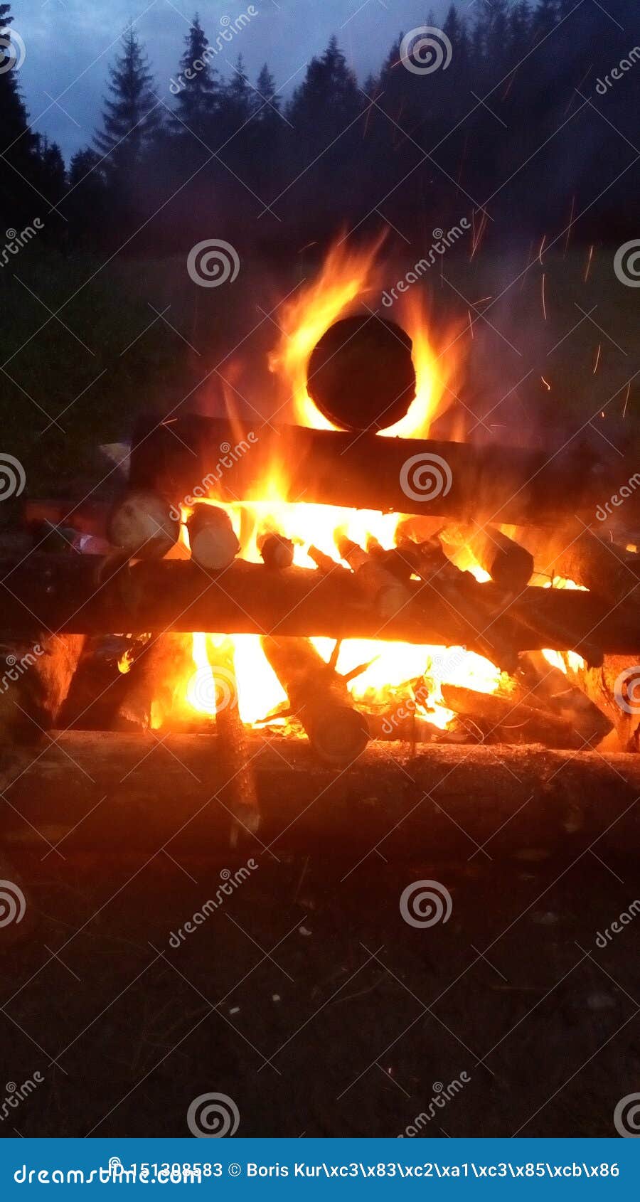 Fire stock image. Image of fire, wood, forest, bonfire - 151308583