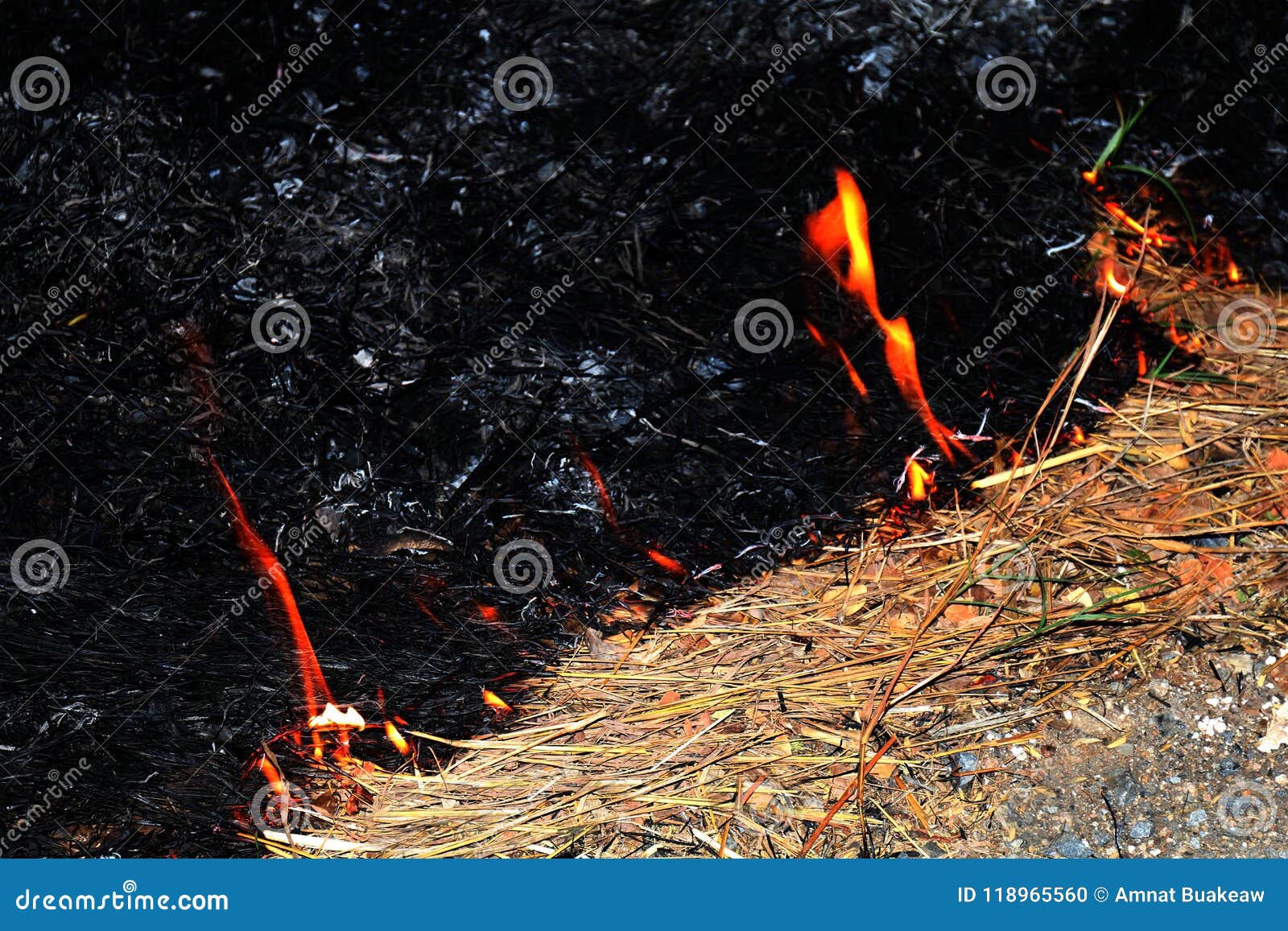 Fire, Fire Burning Hay Selective Focus Stock Photo - Image of flame ...