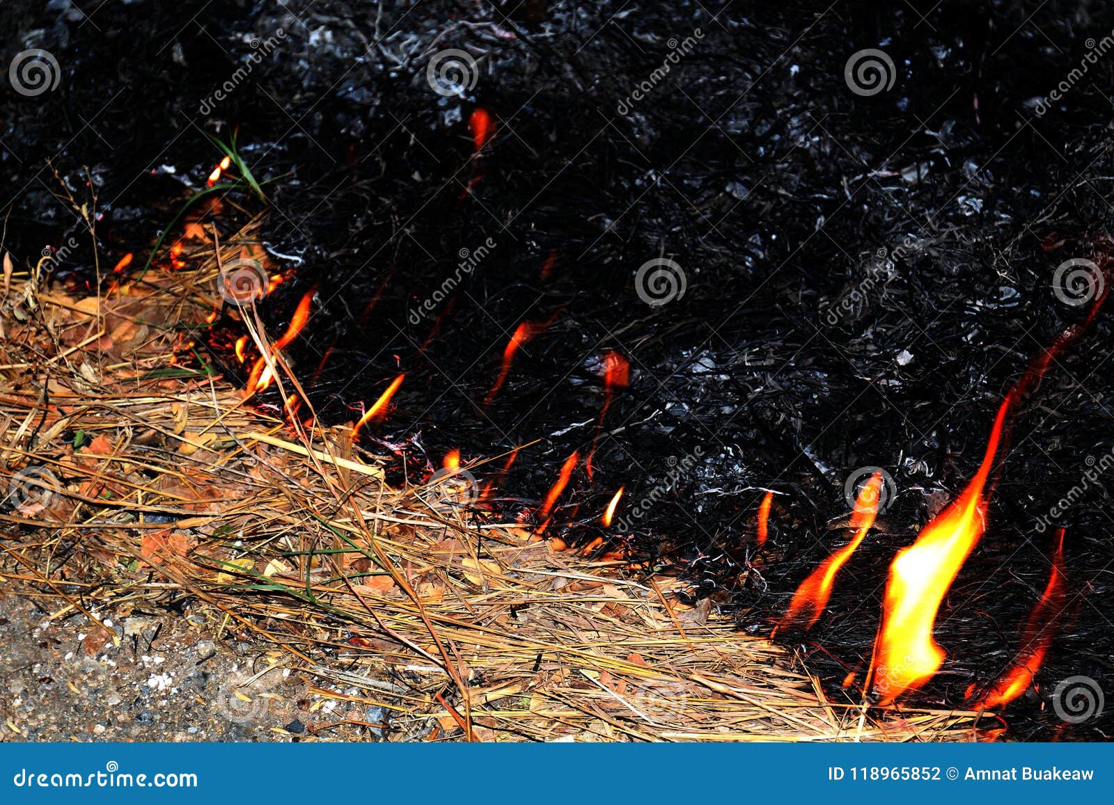 Fire, Fire Burning Hay Selective Focus Stock Photo - Image of burn ...
