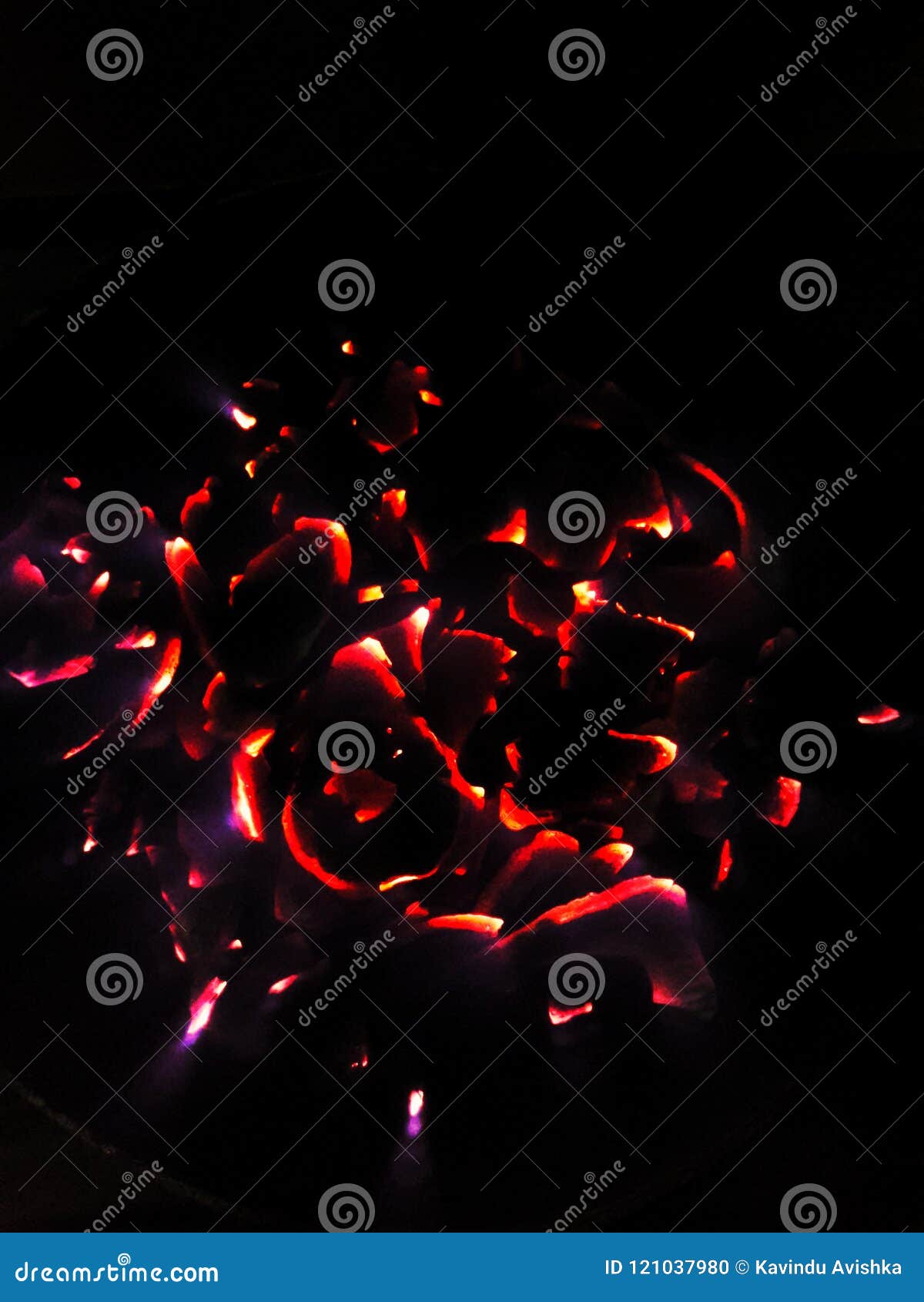 Fire On Coconut Shell Royalty-Free Stock Photography | CartoonDealer ...