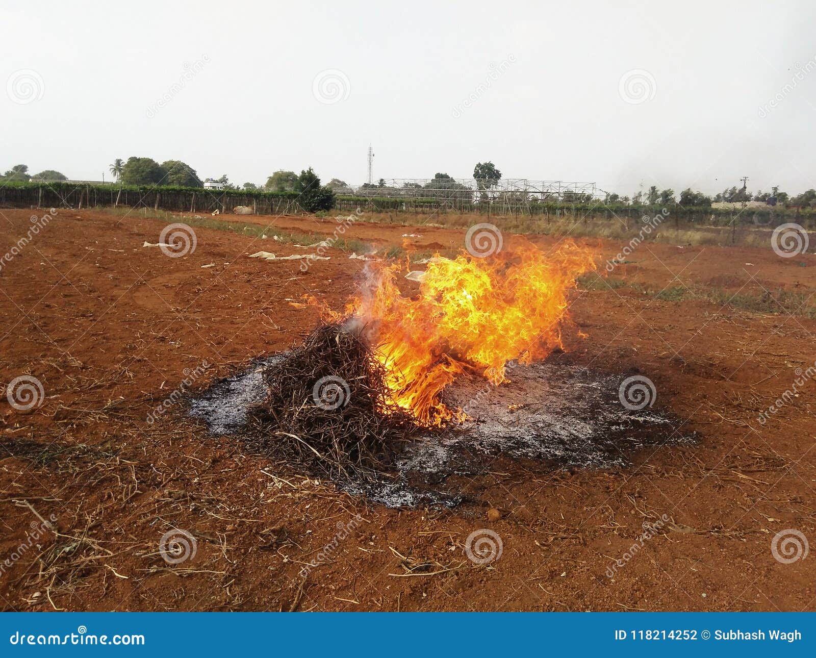 Fire stock photo. Image of orang, farm, black, fire - 118214252