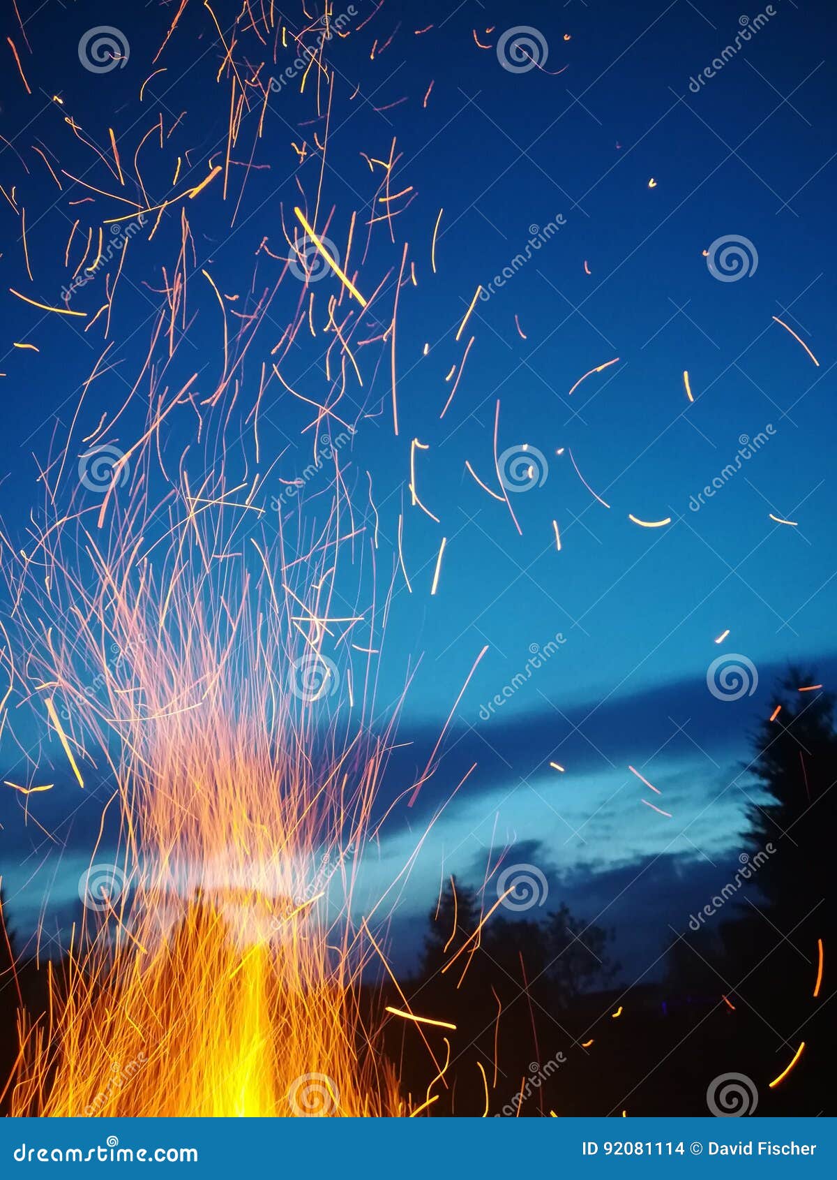 Fire fireflies stock photo. Image of darkness, night - 92081114