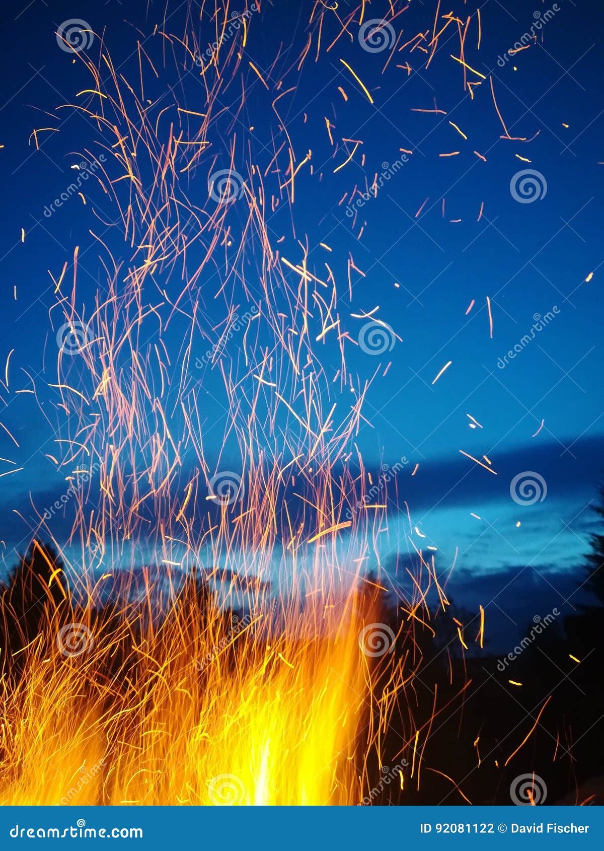 Fire fireflies stock photo. Image of grass, fire, evening - 92081122