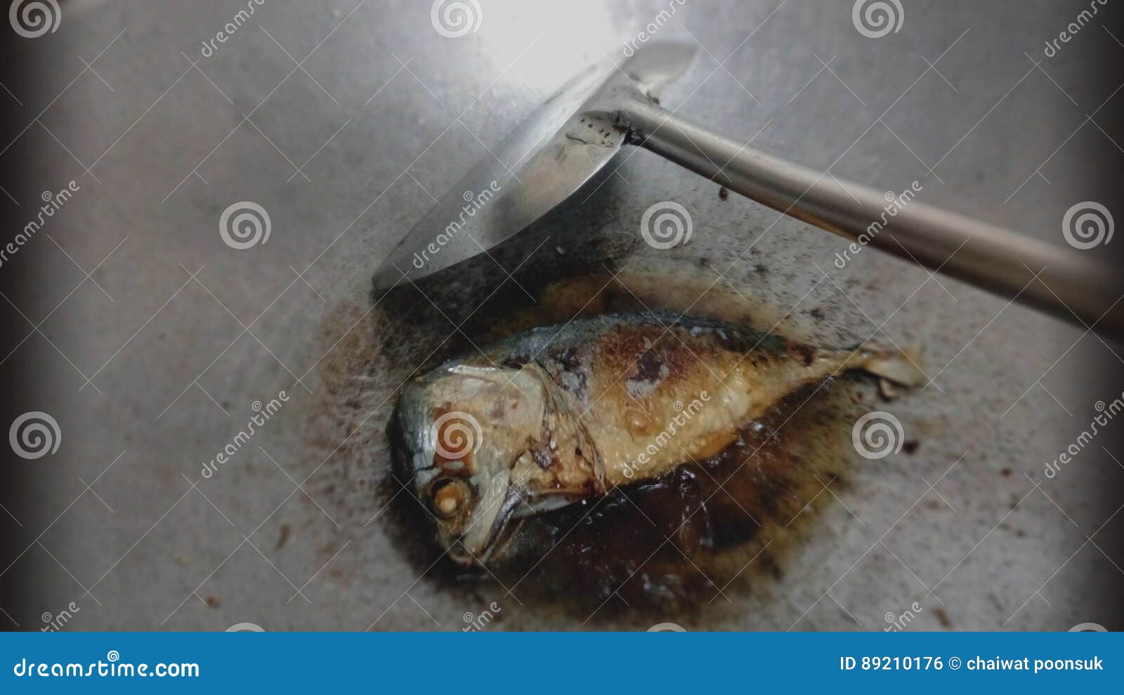 Fire fish stock photo. Image of single, book, classic - 89210176