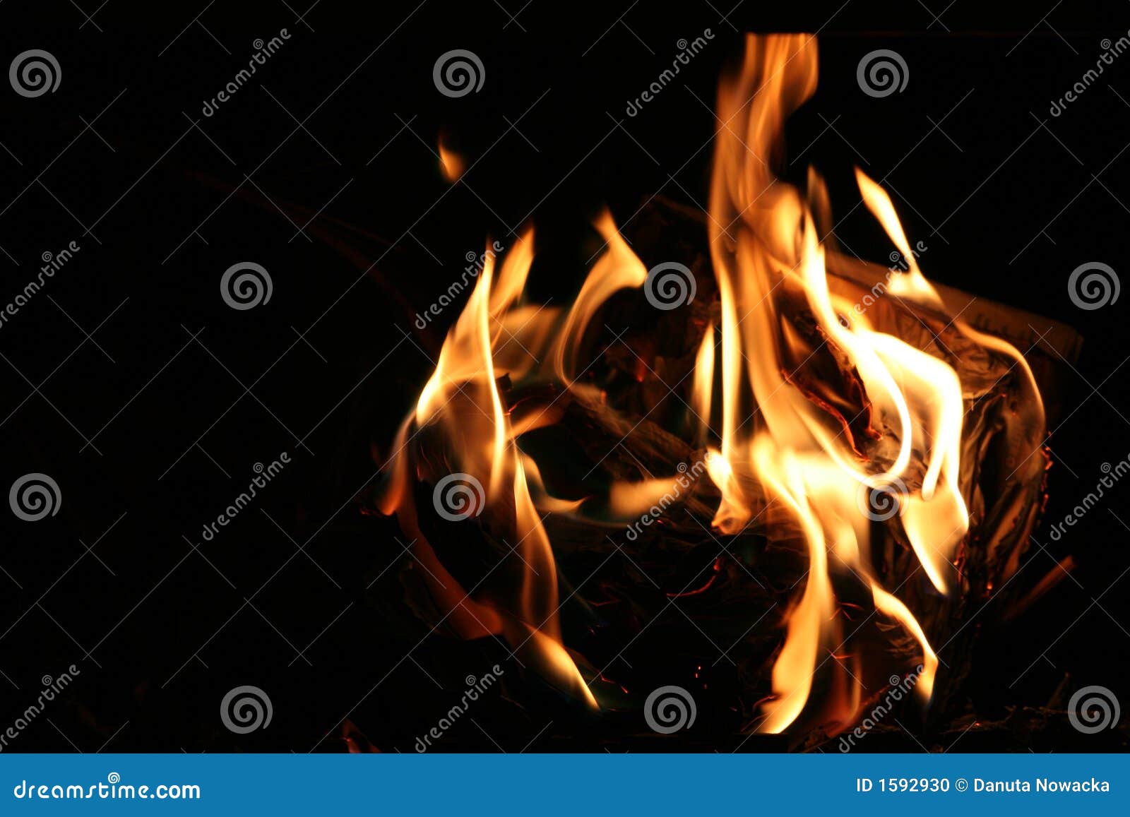 Fire flame stock photo. Image of effect, campfire, flames - 1592930