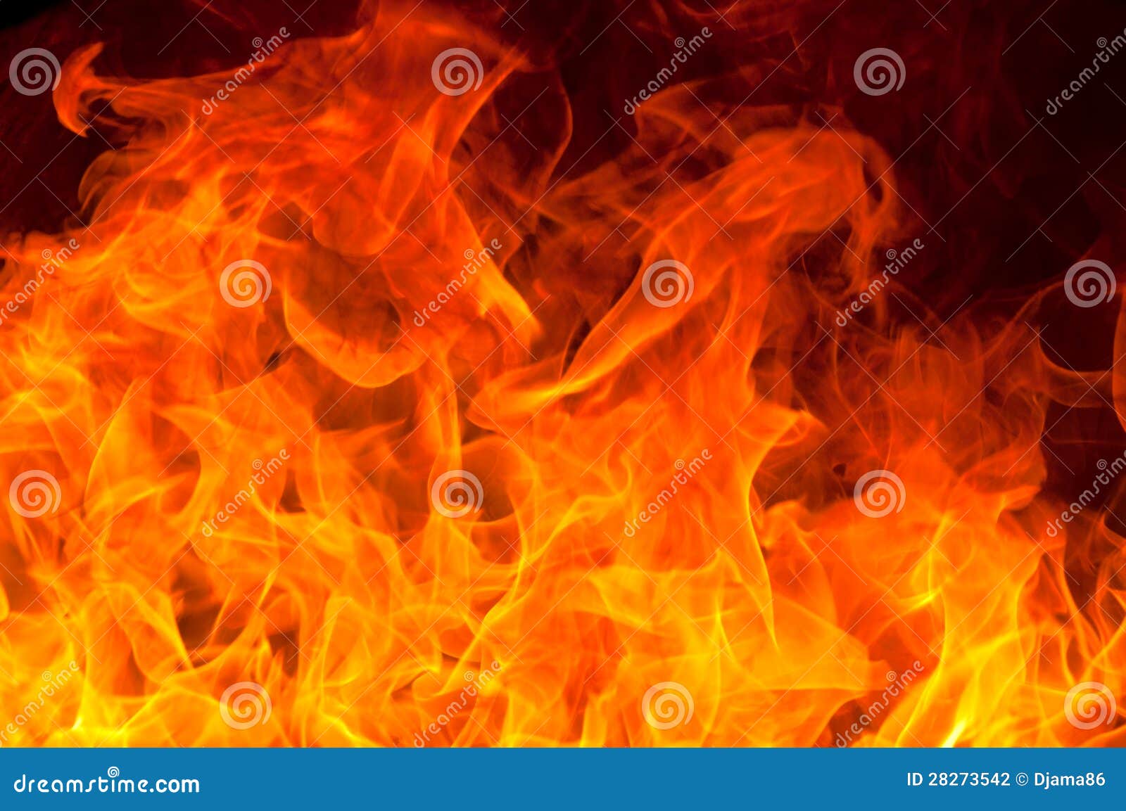 Fire flame stock photo. Image of abstract, power, inferno - 28273542