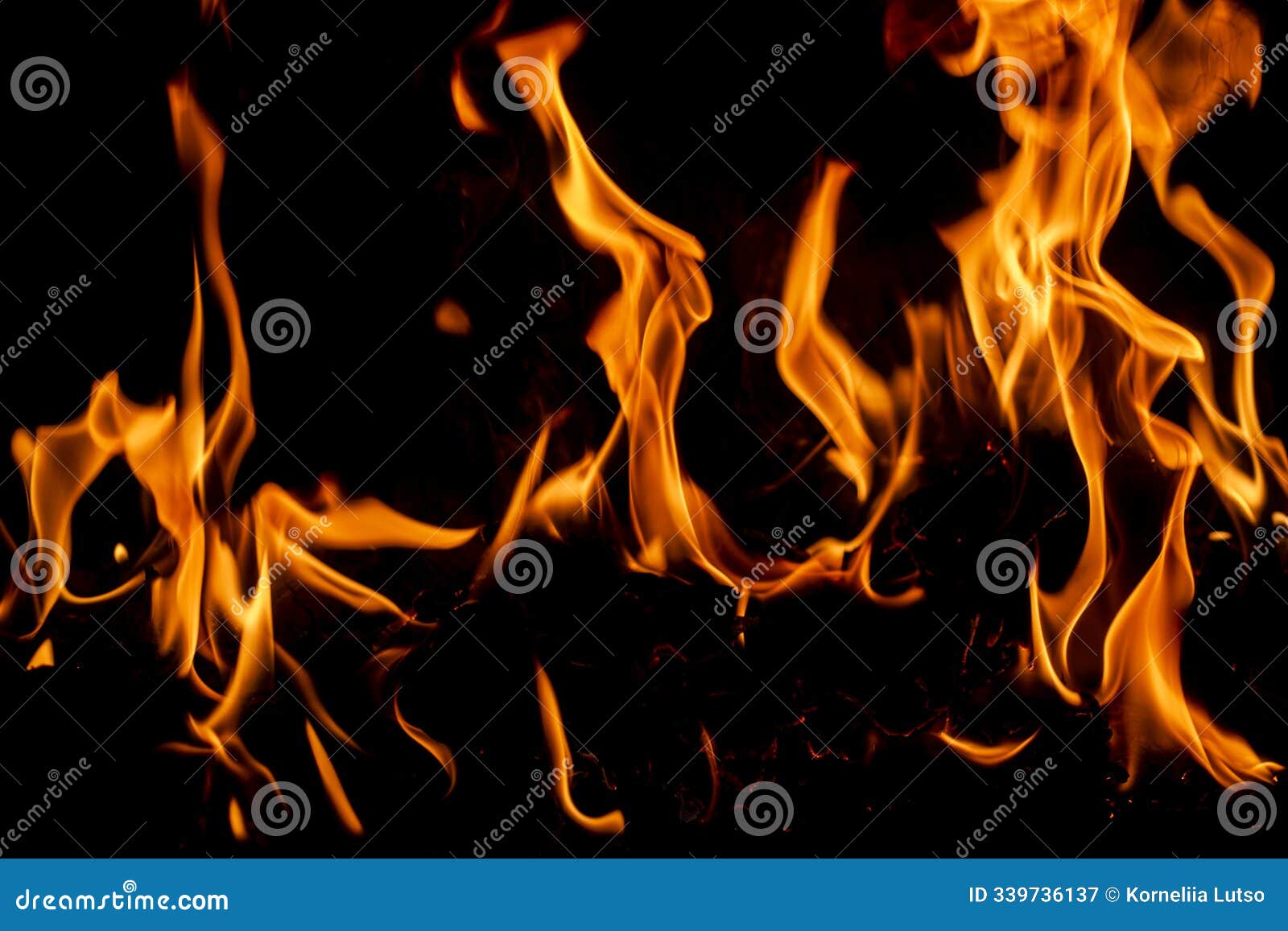 Fire Flame Background. Hell Bonfire. Texture of Fire on a Black ...