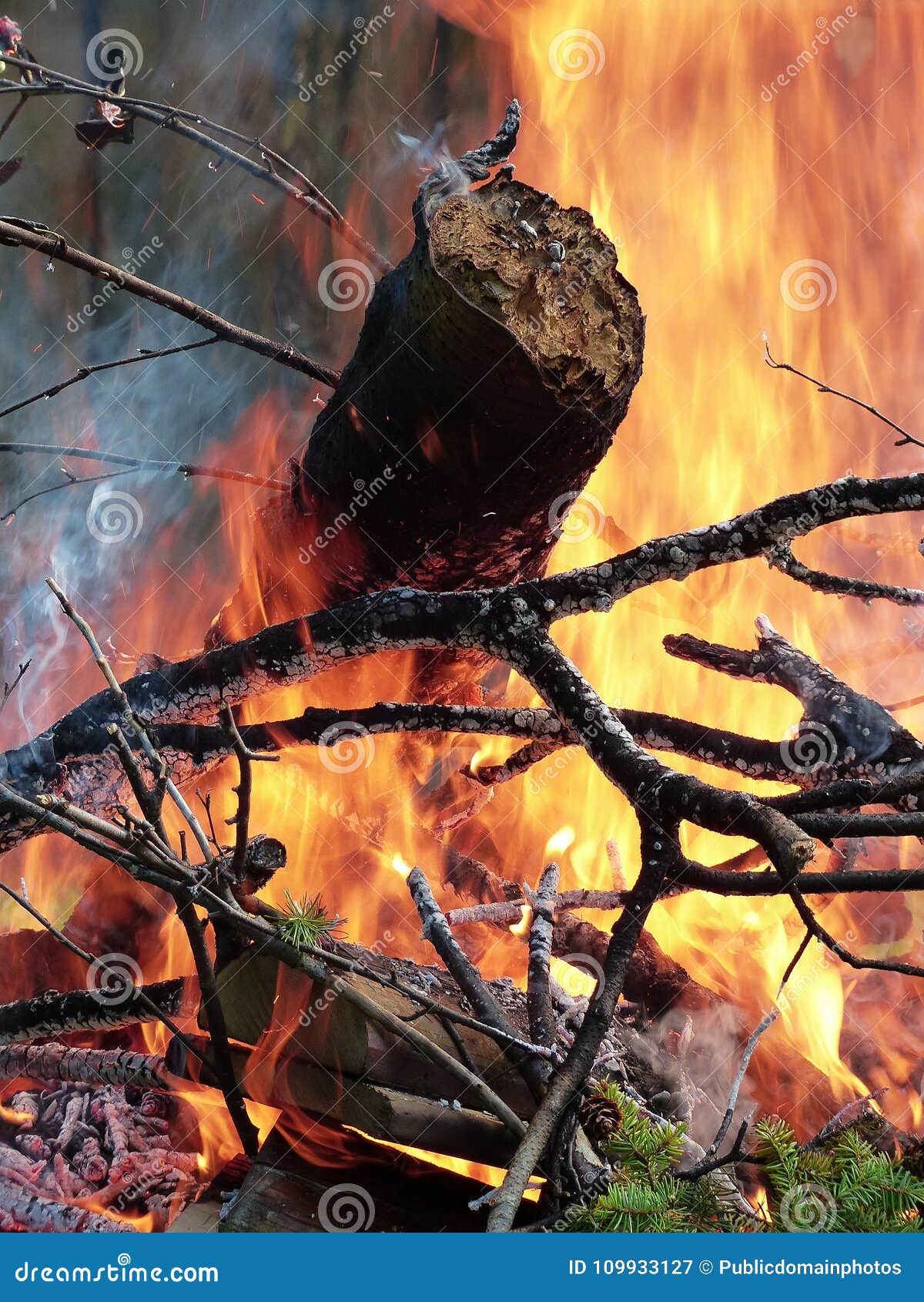 Fire, Flame, Branch, Computer Wallpaper Picture. Image: 109933127