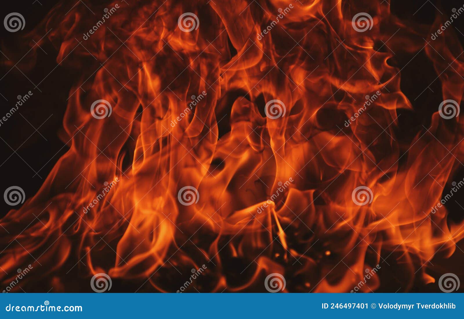 Fire Flame. Burn Lights on a Black Background. Stock Image - Image of ...
