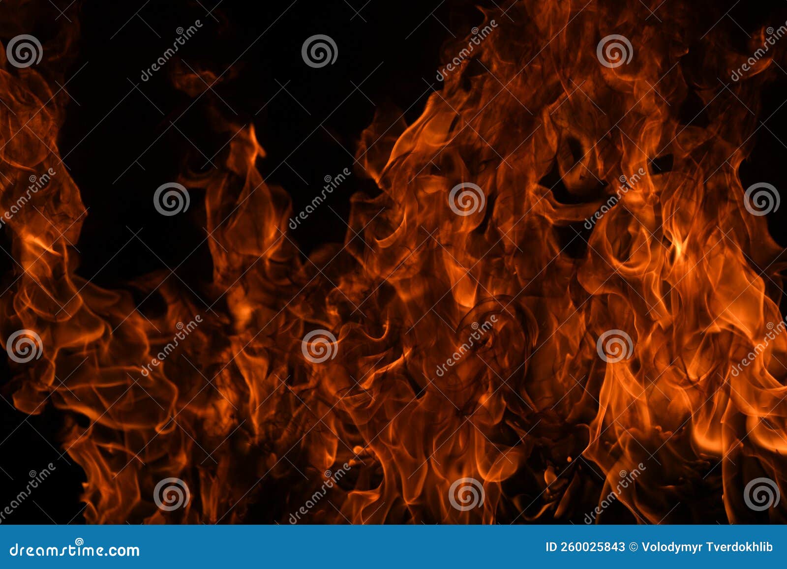 Fire Flame. Burn Lights on a Black Background. Stock Image - Image of ...