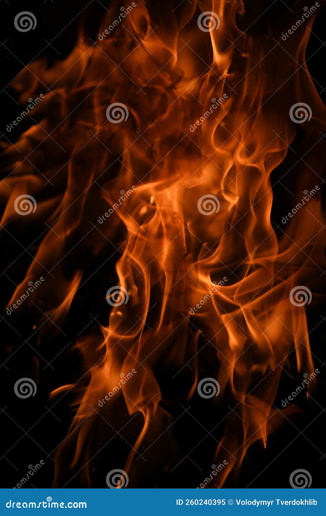 Fire Flame. Burn Lights on a Black Background. Stock Image - Image of ...
