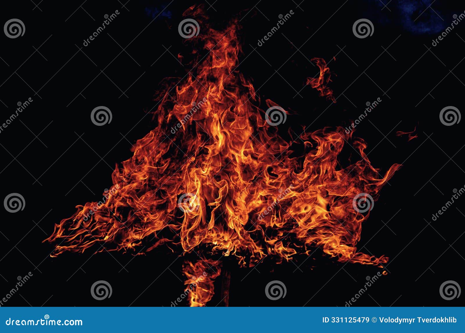 Fire Flame. Burn Lights on a Black Background. Stock Image - Image of ...